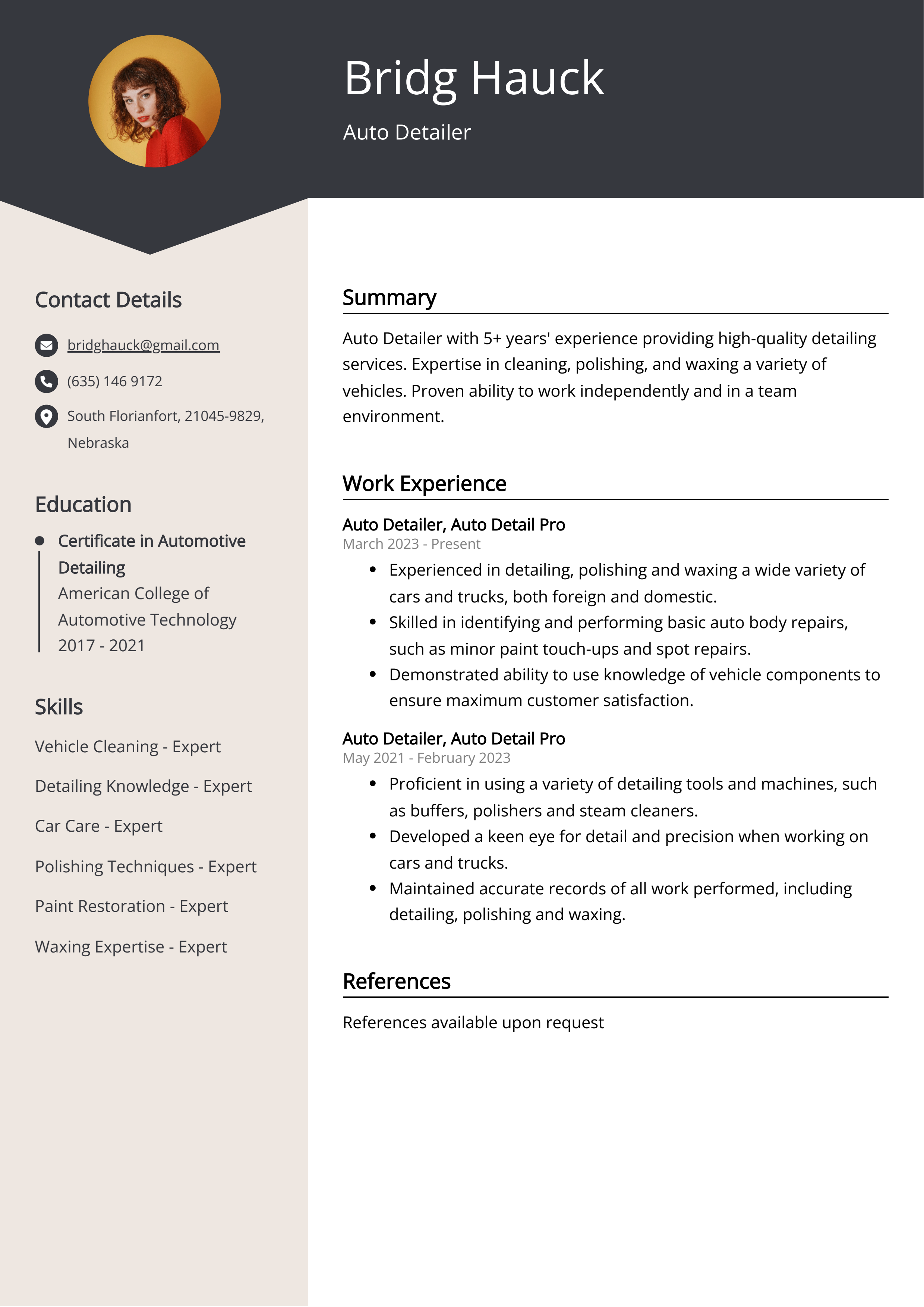 Auto Detailer CV Example for 2023 (Skills & Templates)