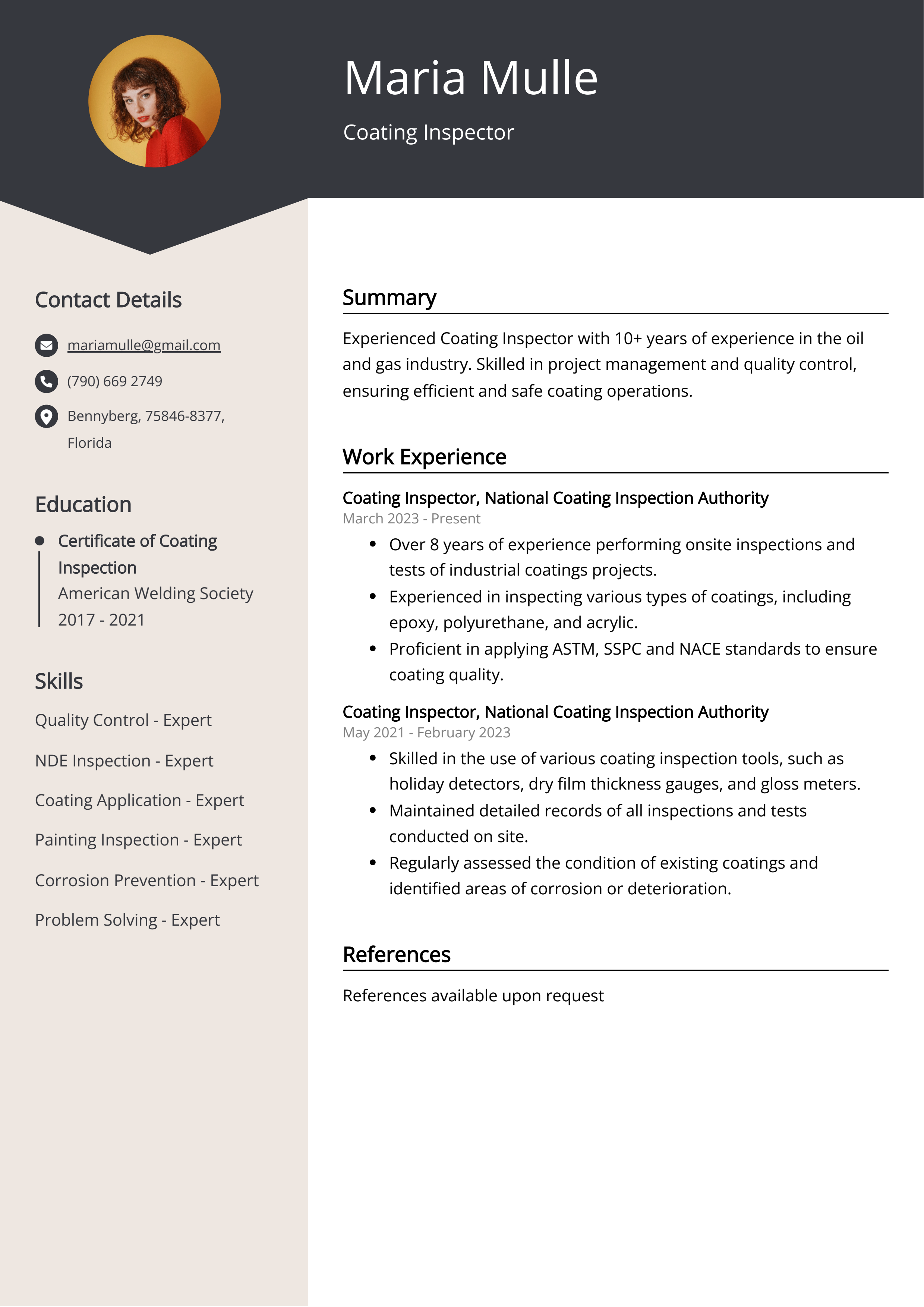 Coating Inspector CV Example for 2024 (Skills & Templates)