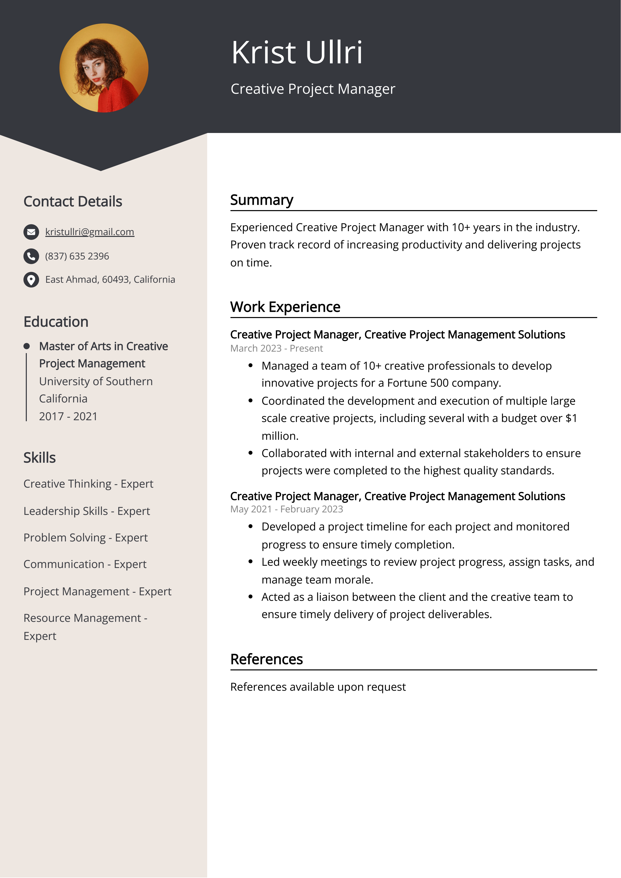 Creative Project Manager CV Example for 2023 (Skills & Templates)