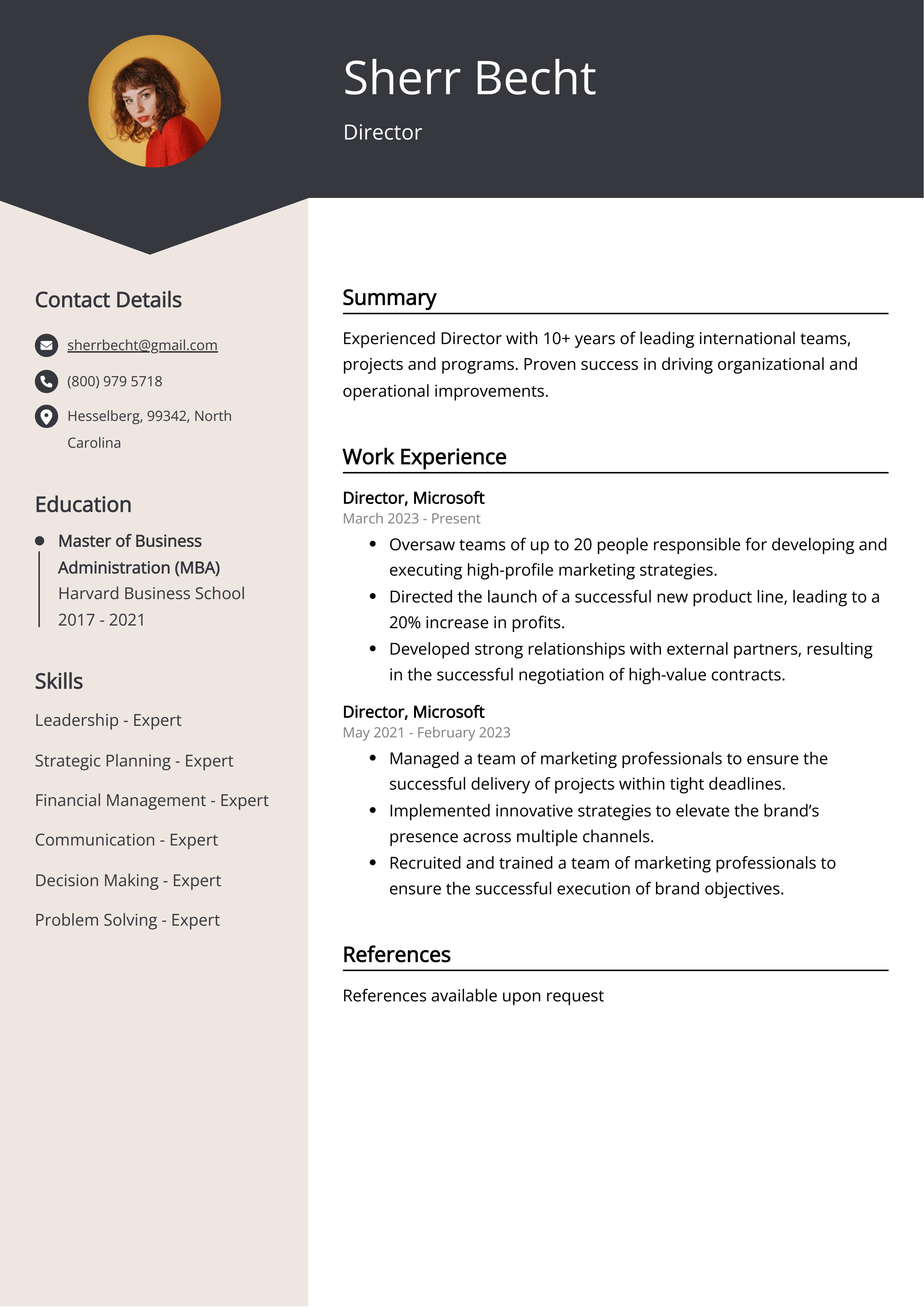 Director CV Example for 2023 (Skills & Templates)