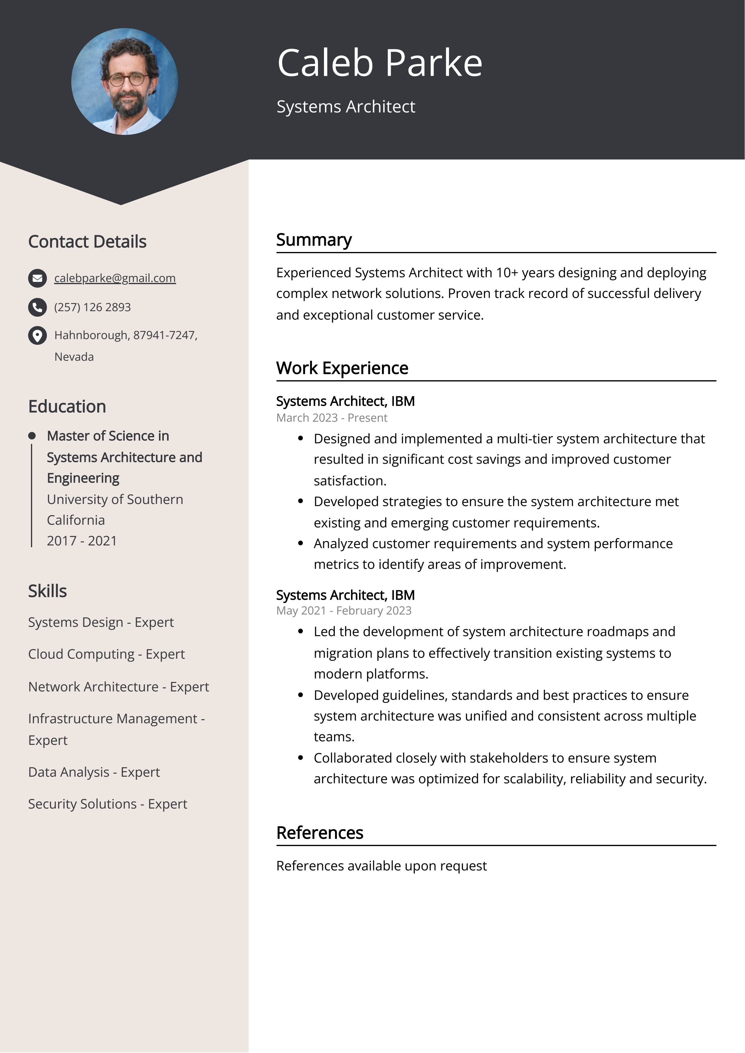 Systems Architect CV Examples (Template & 20+ Tips)