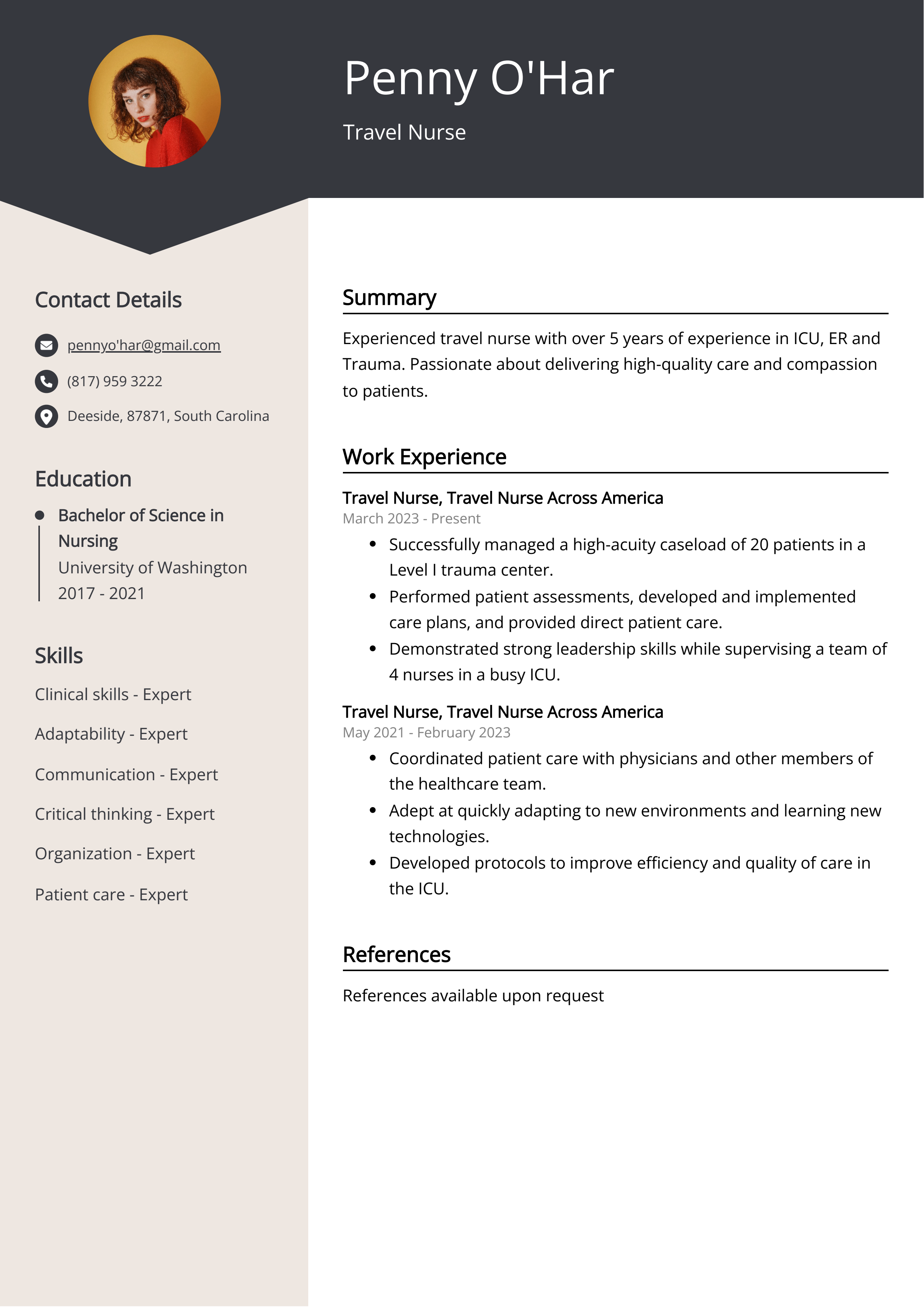 Travel Nurse CV Examples (Template & 20+ Tips)