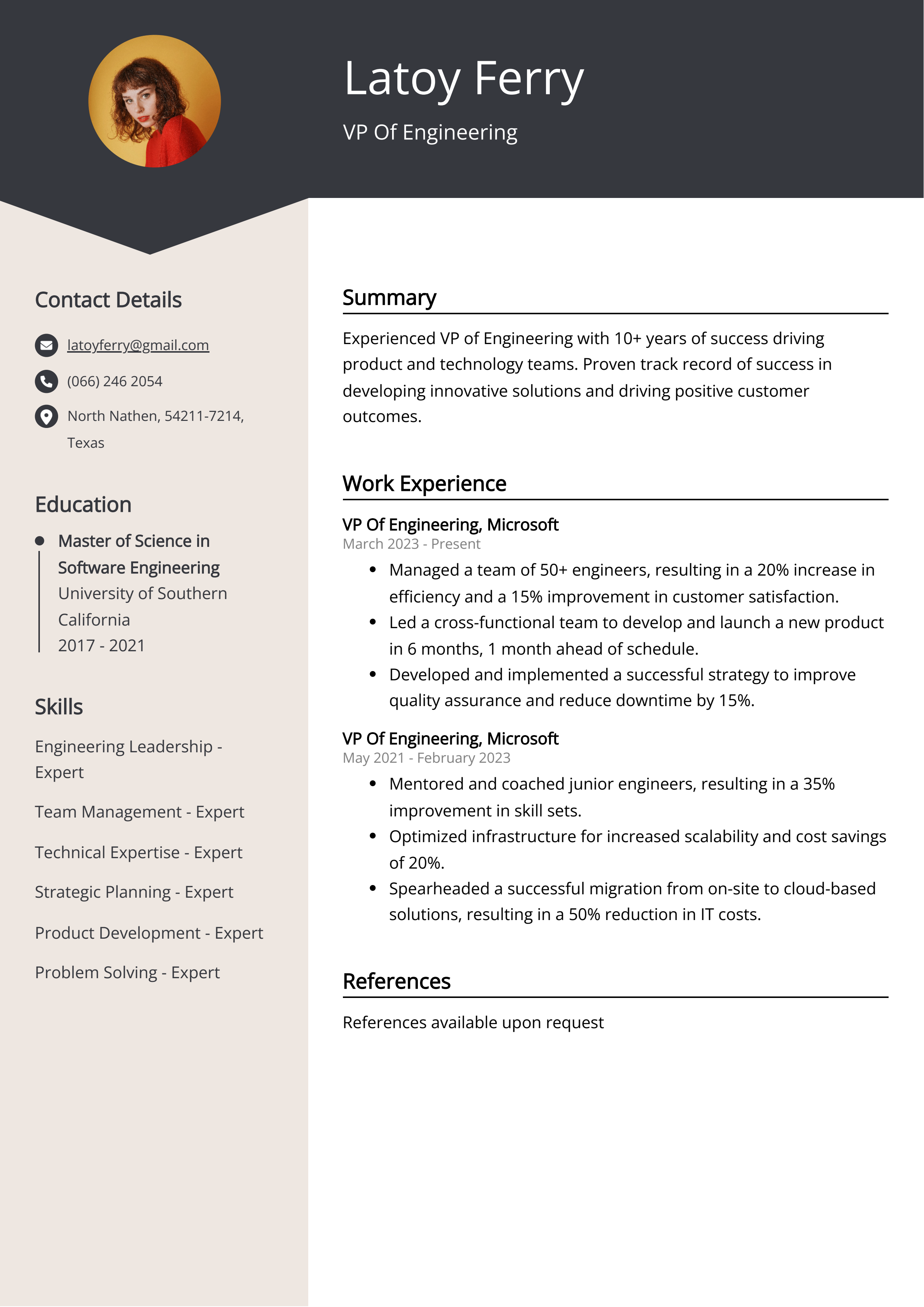 VP Of Engineering CV Examples & Guide