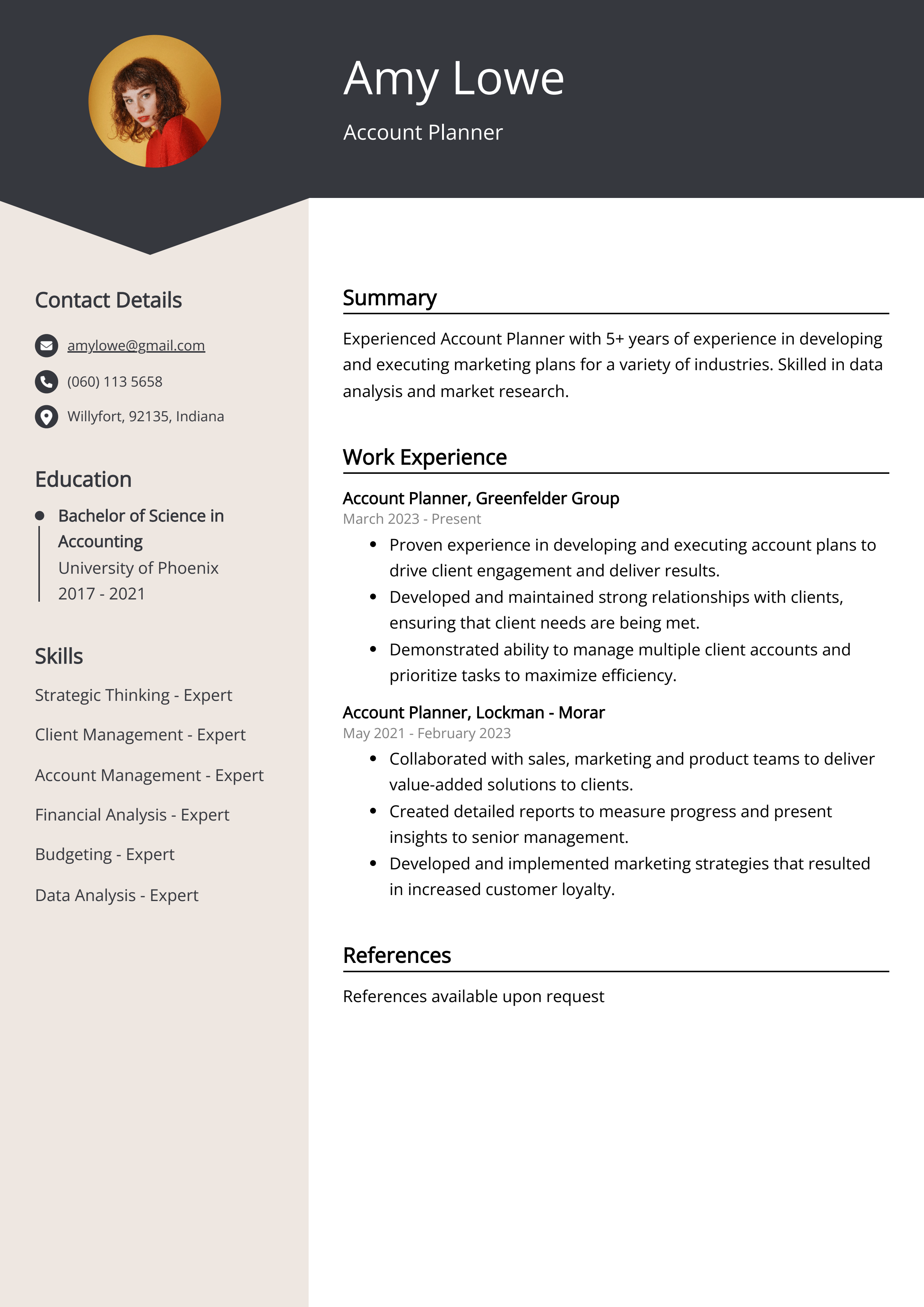 Account Planner Resume Example (Free Guide)