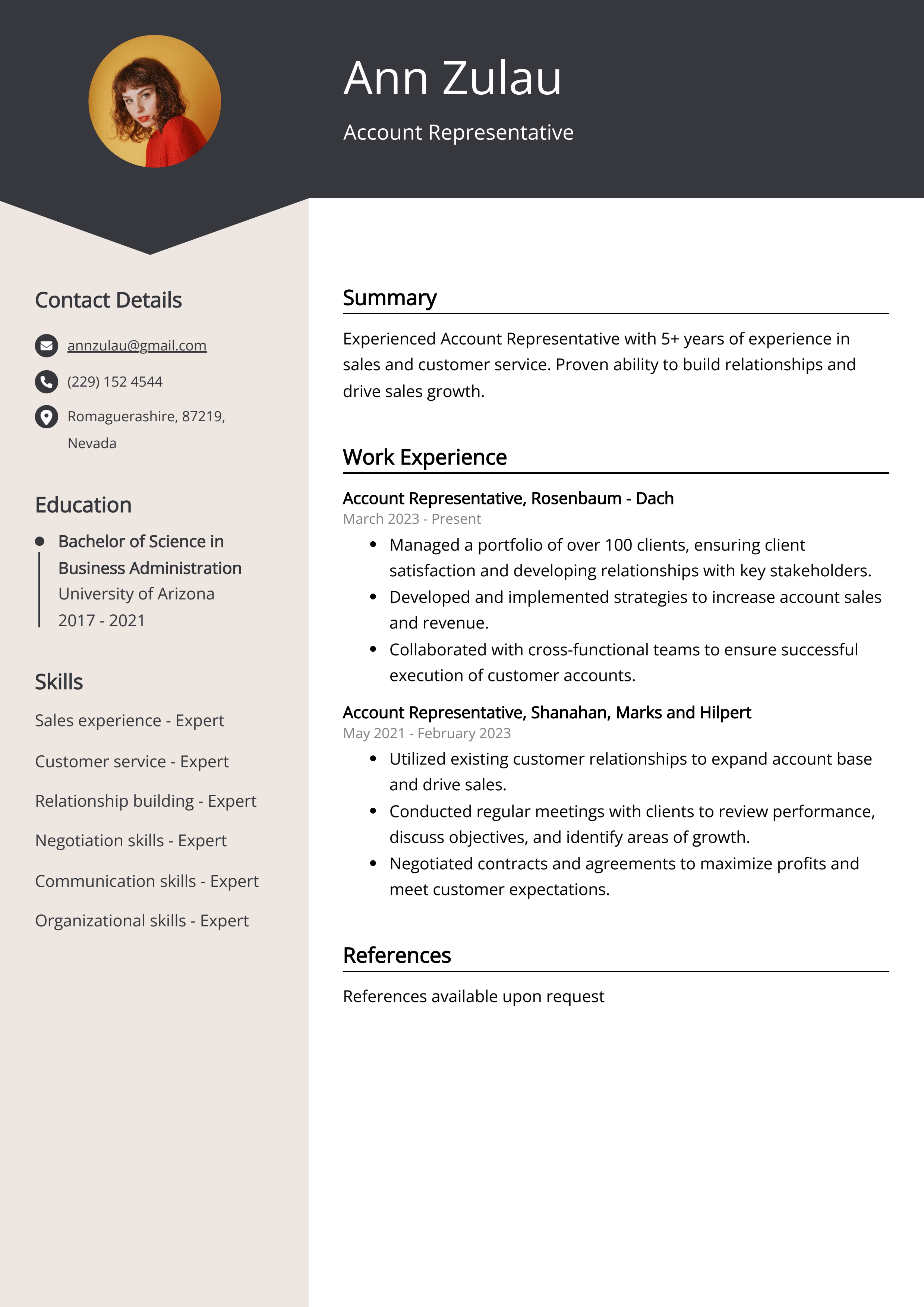 Account Representative Resume Example Free Guide 