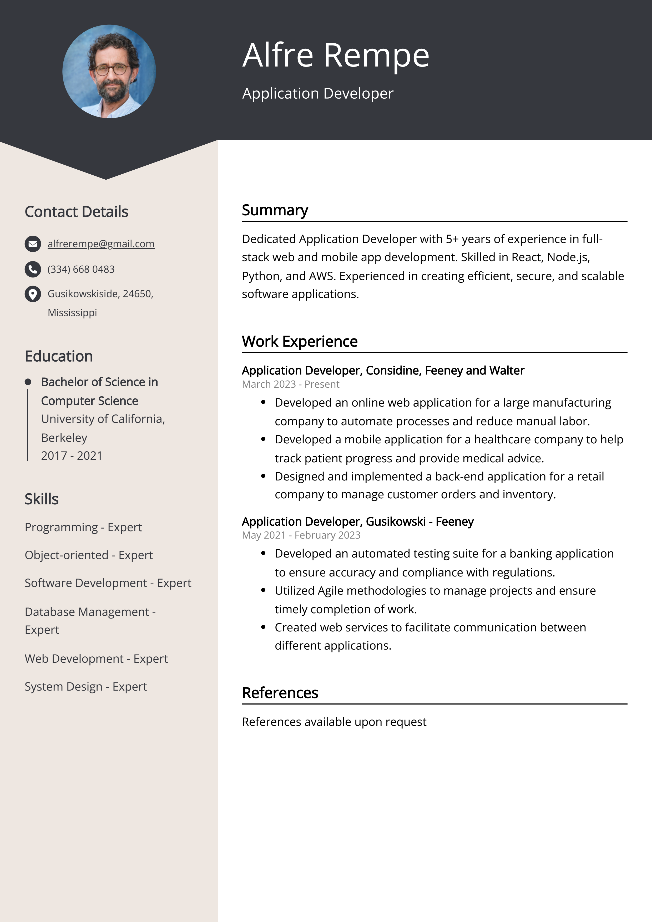 Application Developer CV Example for 2023 (Skills & Templates)