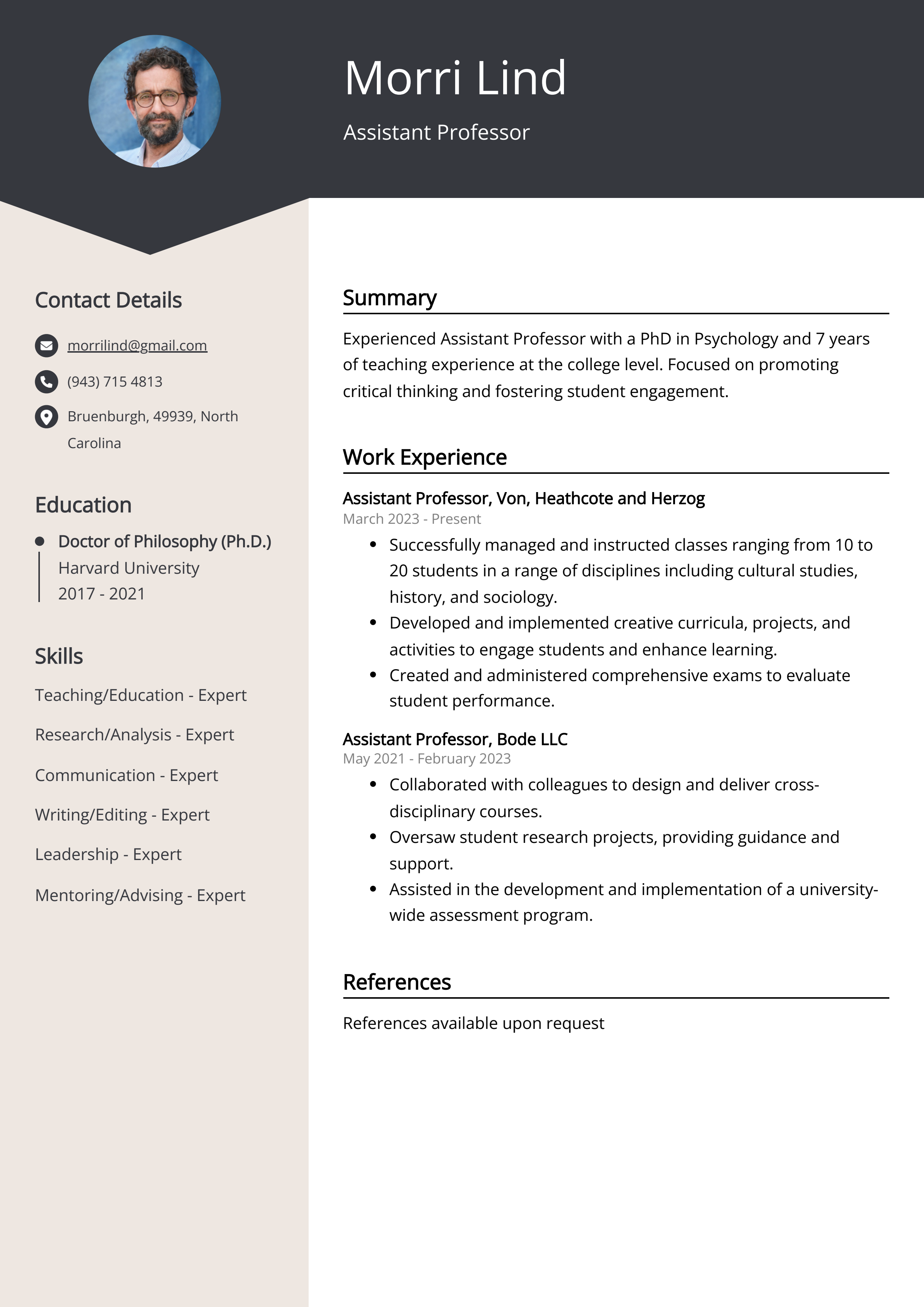 Assistant Professor CV Example For 2023 Skills Templates 