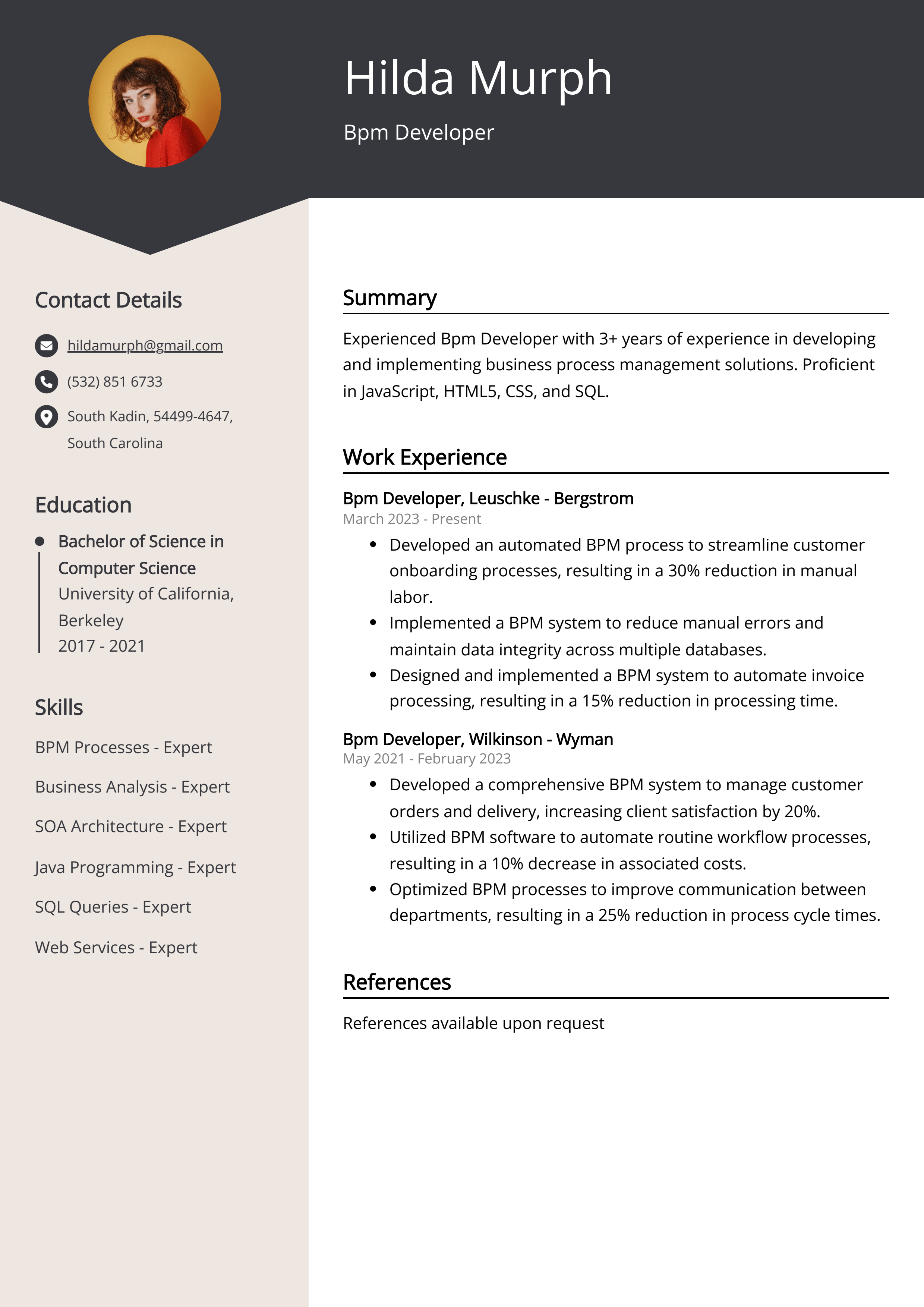 Bpm Developer Resume Example (Free Guide)