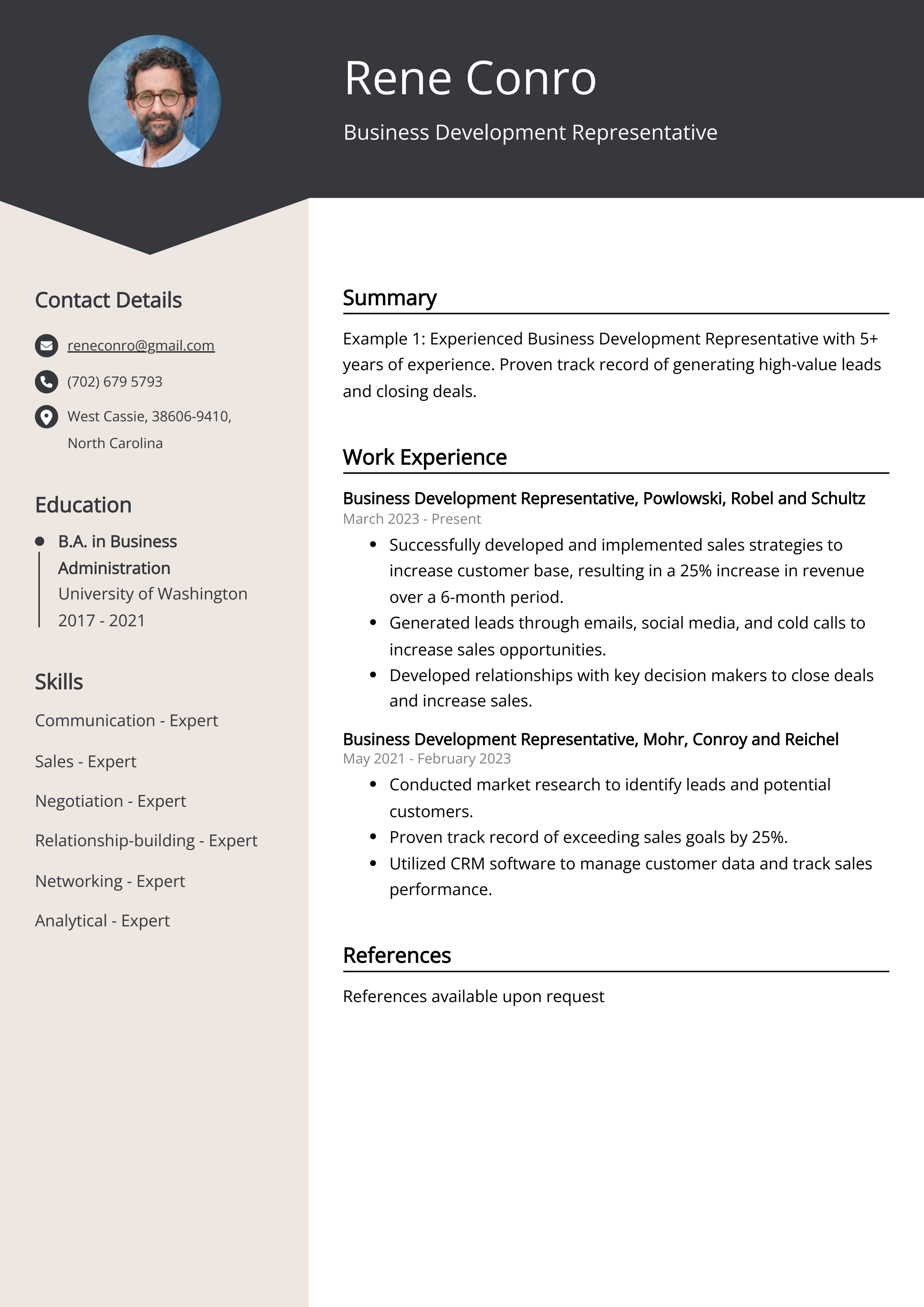 Business Development Representative Resume Example Free Guide 