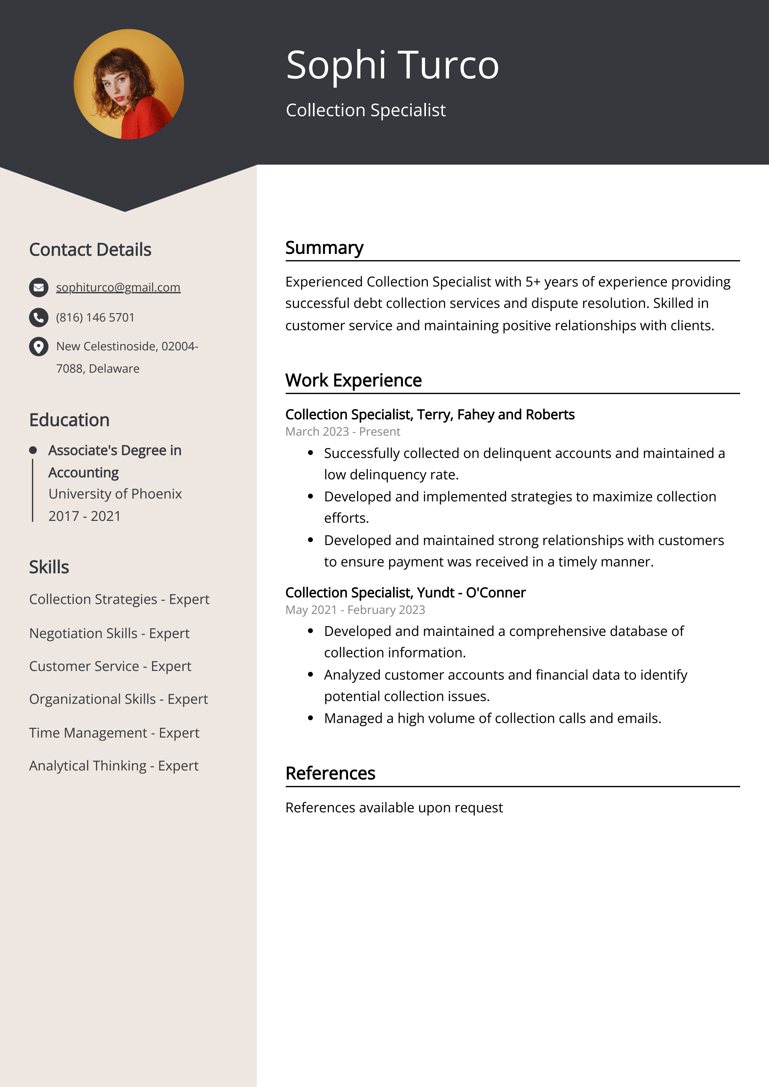 Collection Specialist CV Example for 2023 (Skills & Templates)