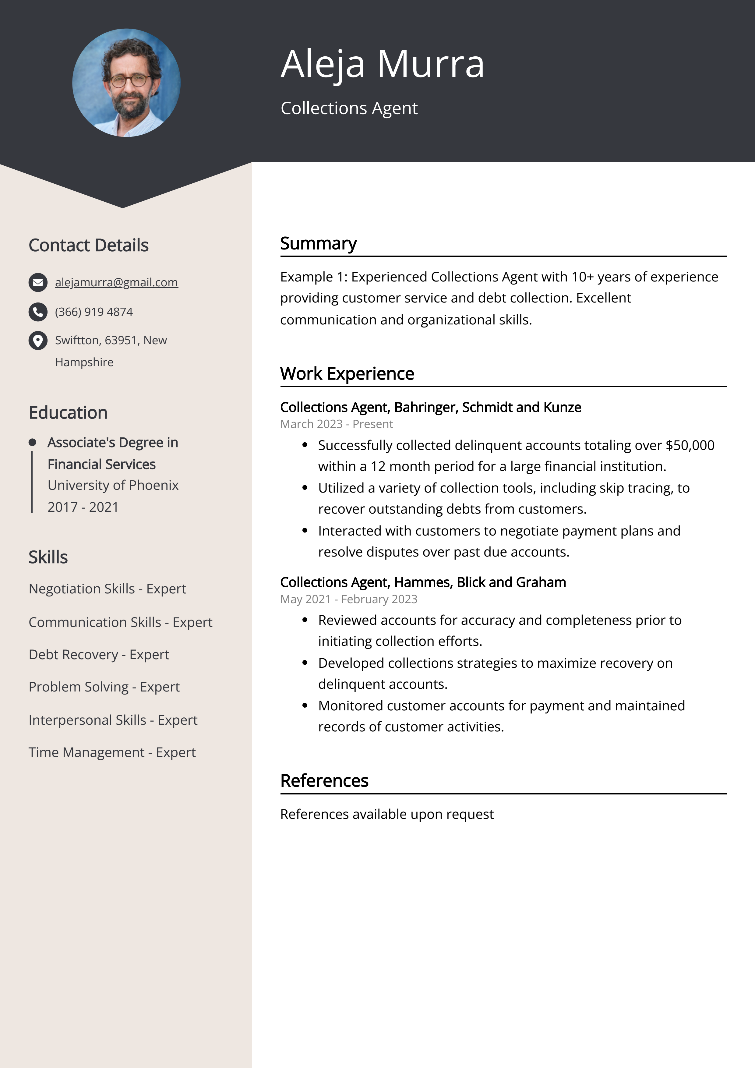 Collections Agent CV Example for 2023 (Skills & Templates)