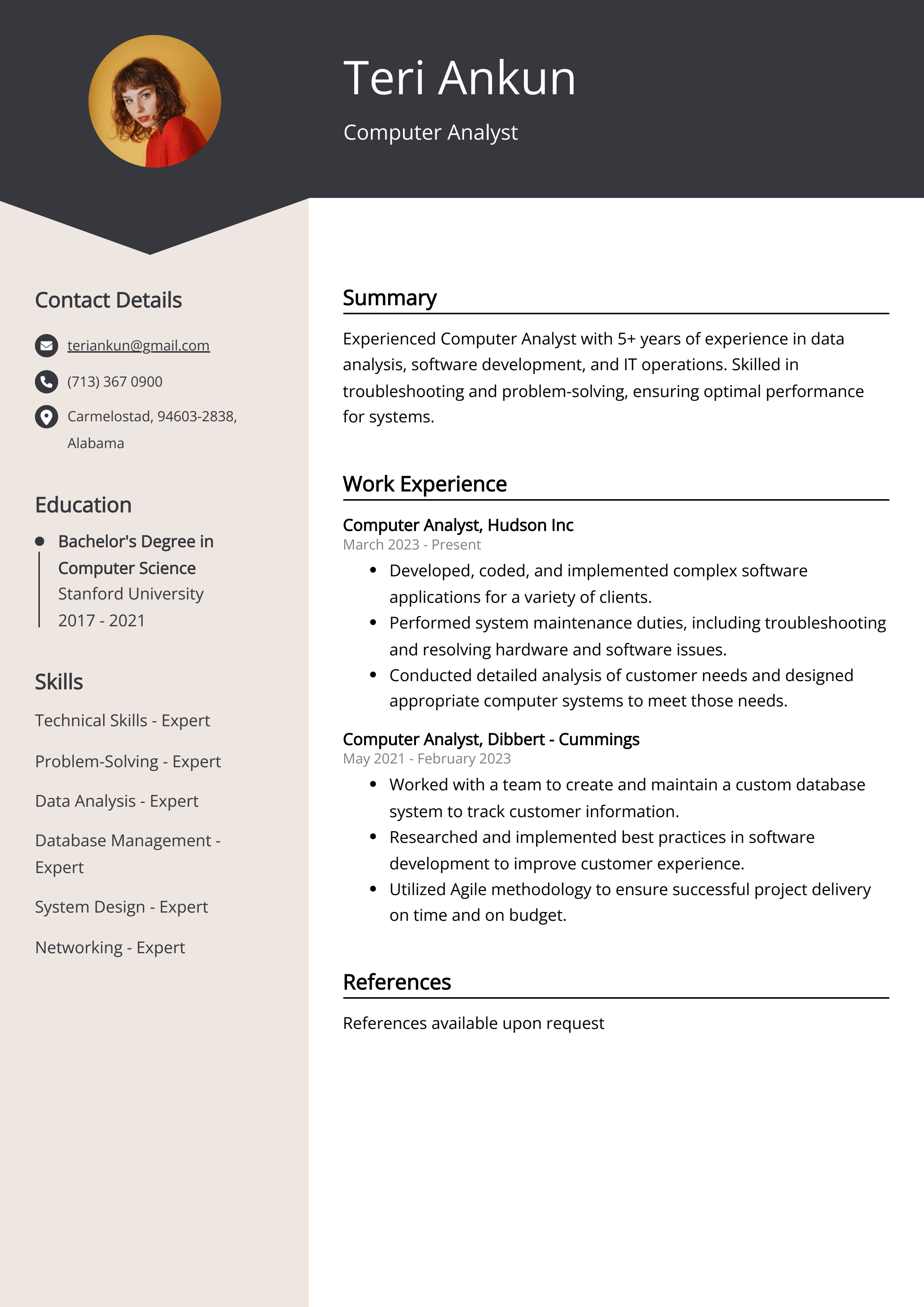 Computer Analyst Resume Example (Free Guide)