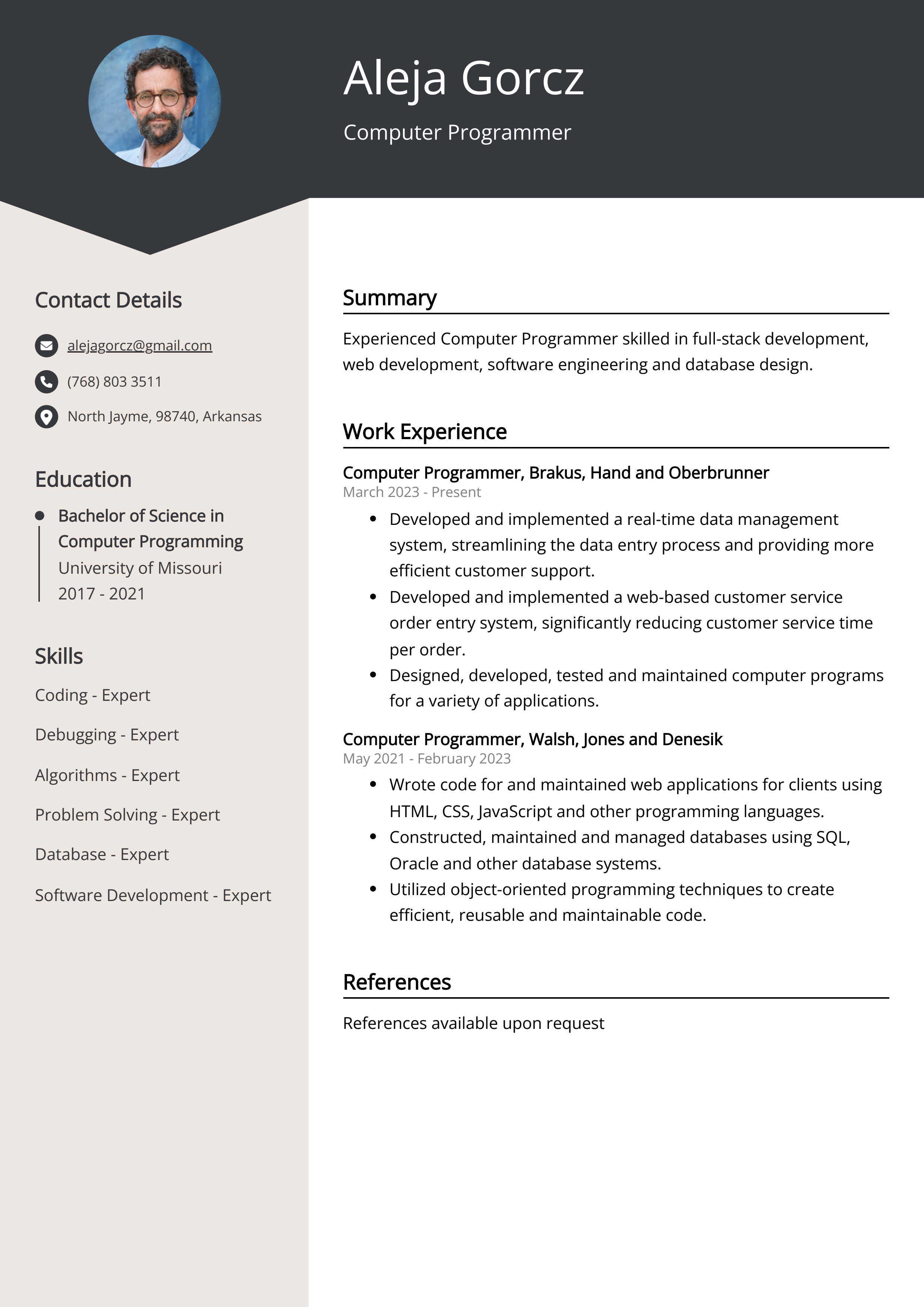 Programming Resume Template Prntbl concejomunicipaldechinu gov co