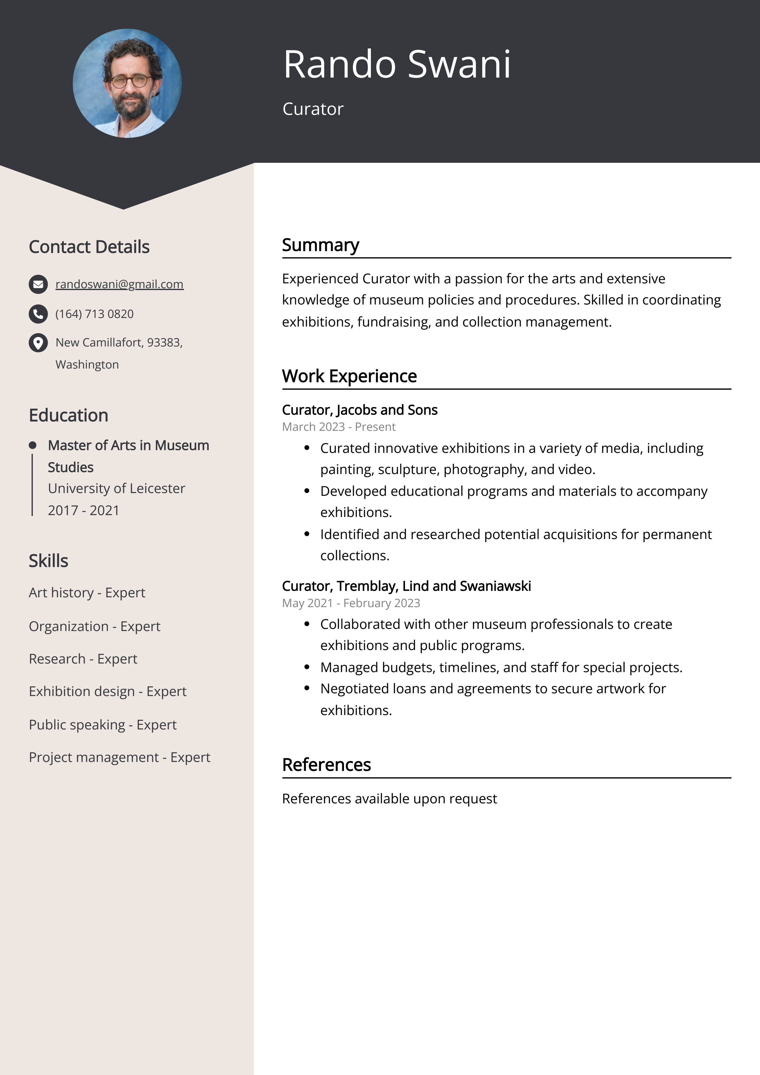 Curator CV Example for 2023 (Skills & Templates)