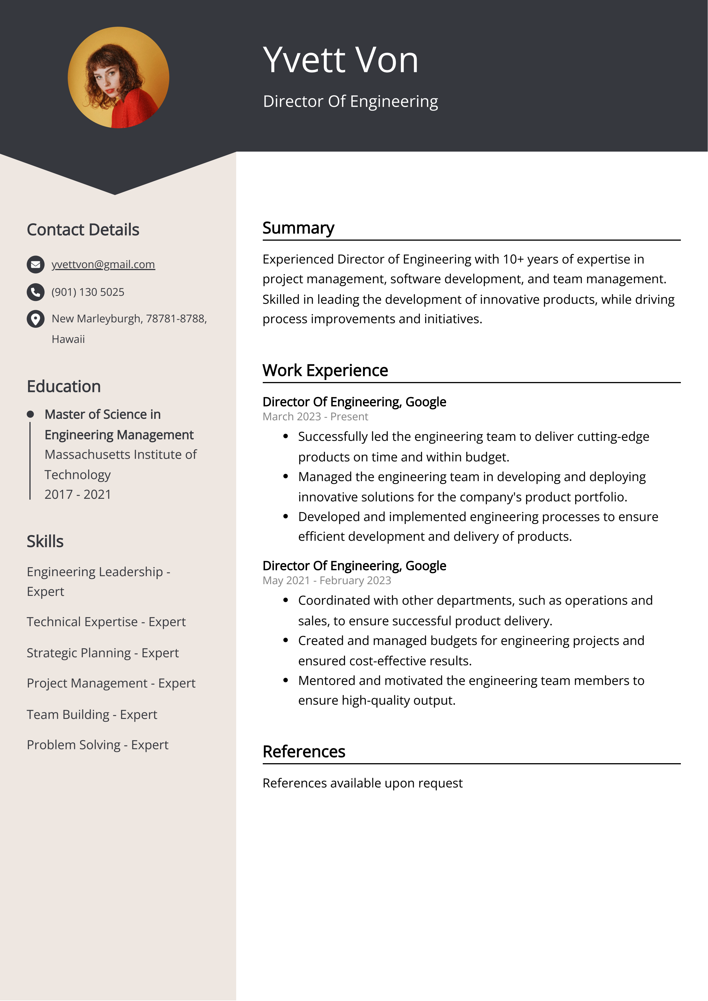 Director Of Engineering Resume Example for 2023 (Skills & Templates)