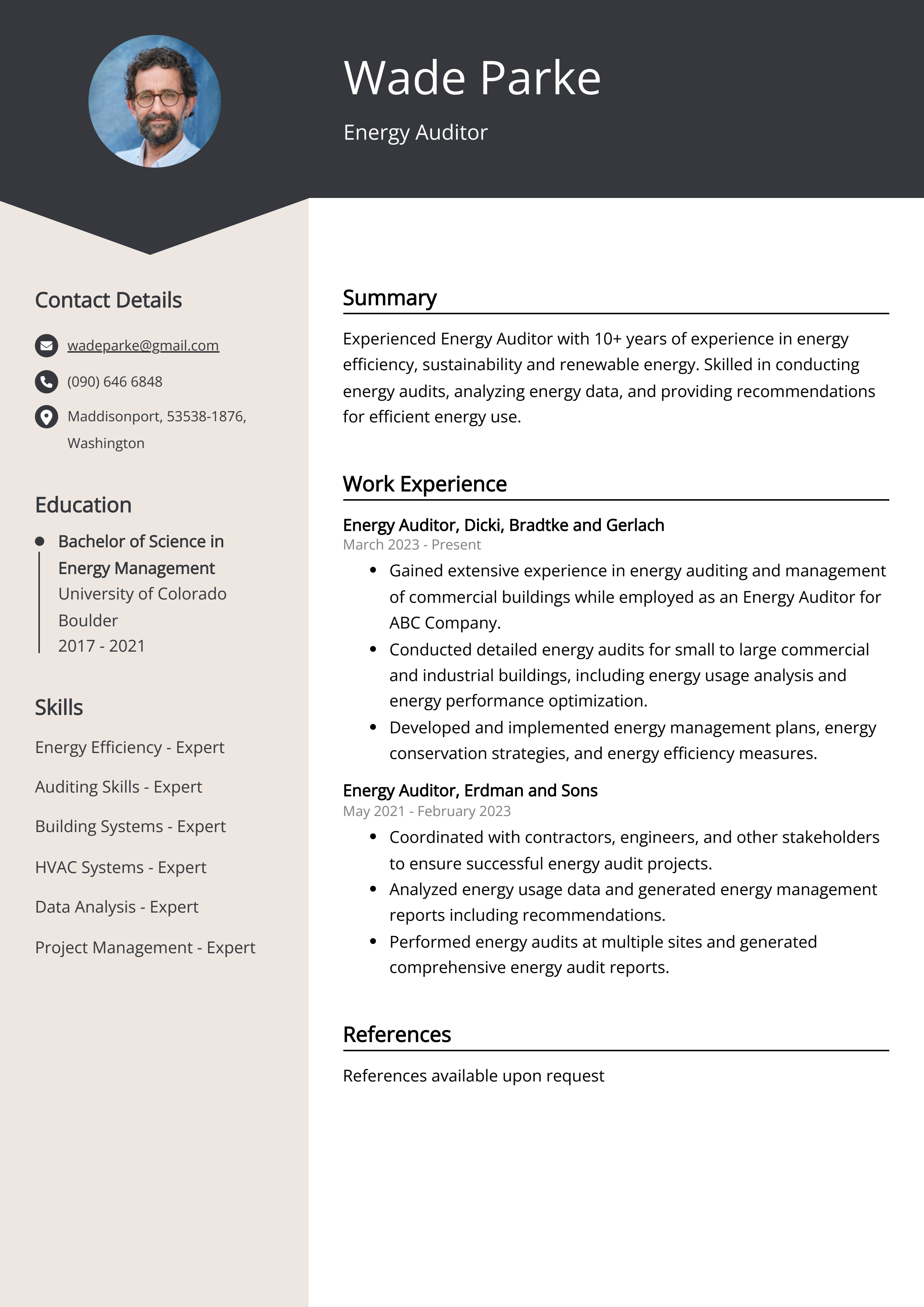 Energy Auditor CV Example for 2023 (Skills & Templates)