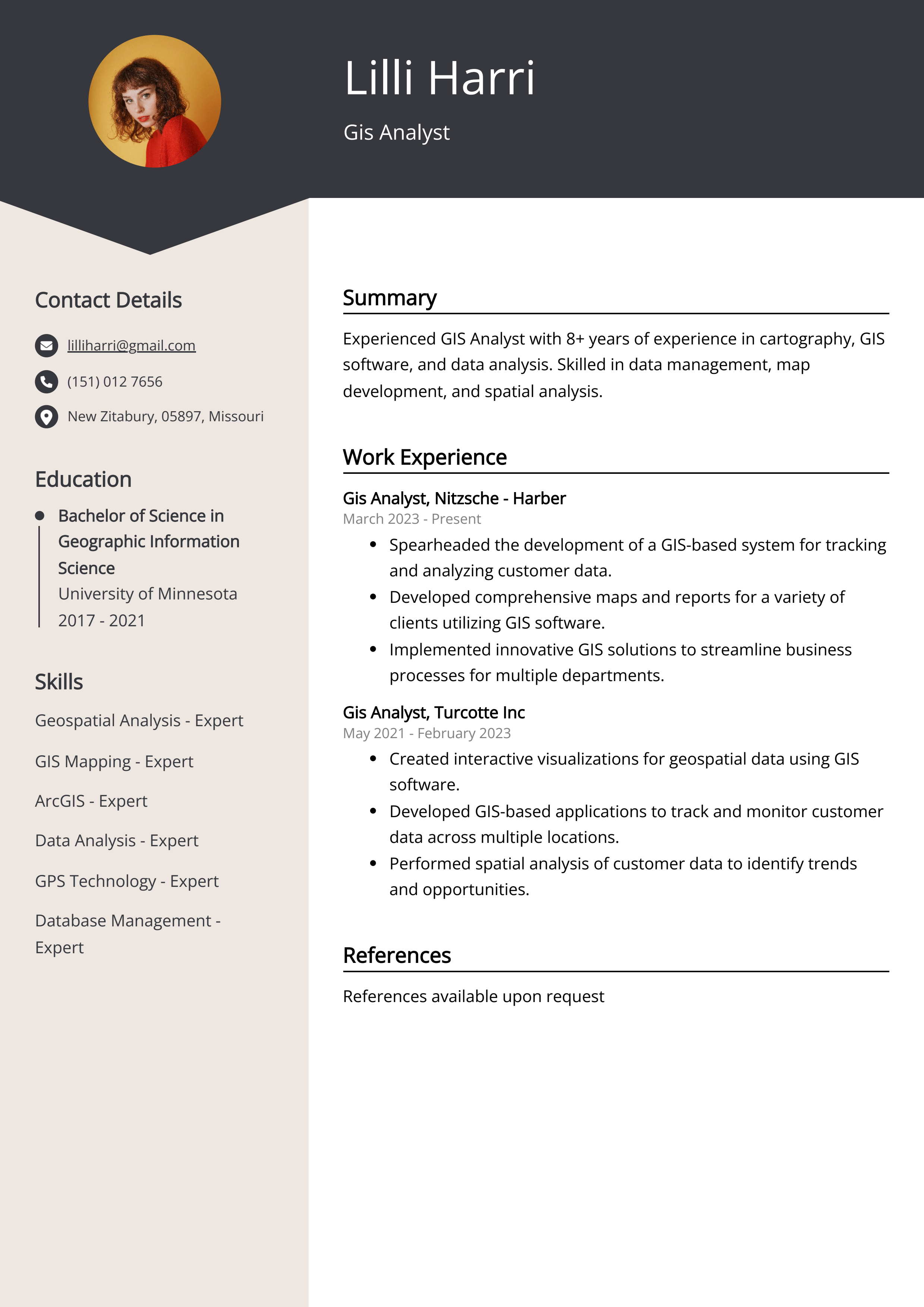 Gis Analyst Resume Example Free Guide 
