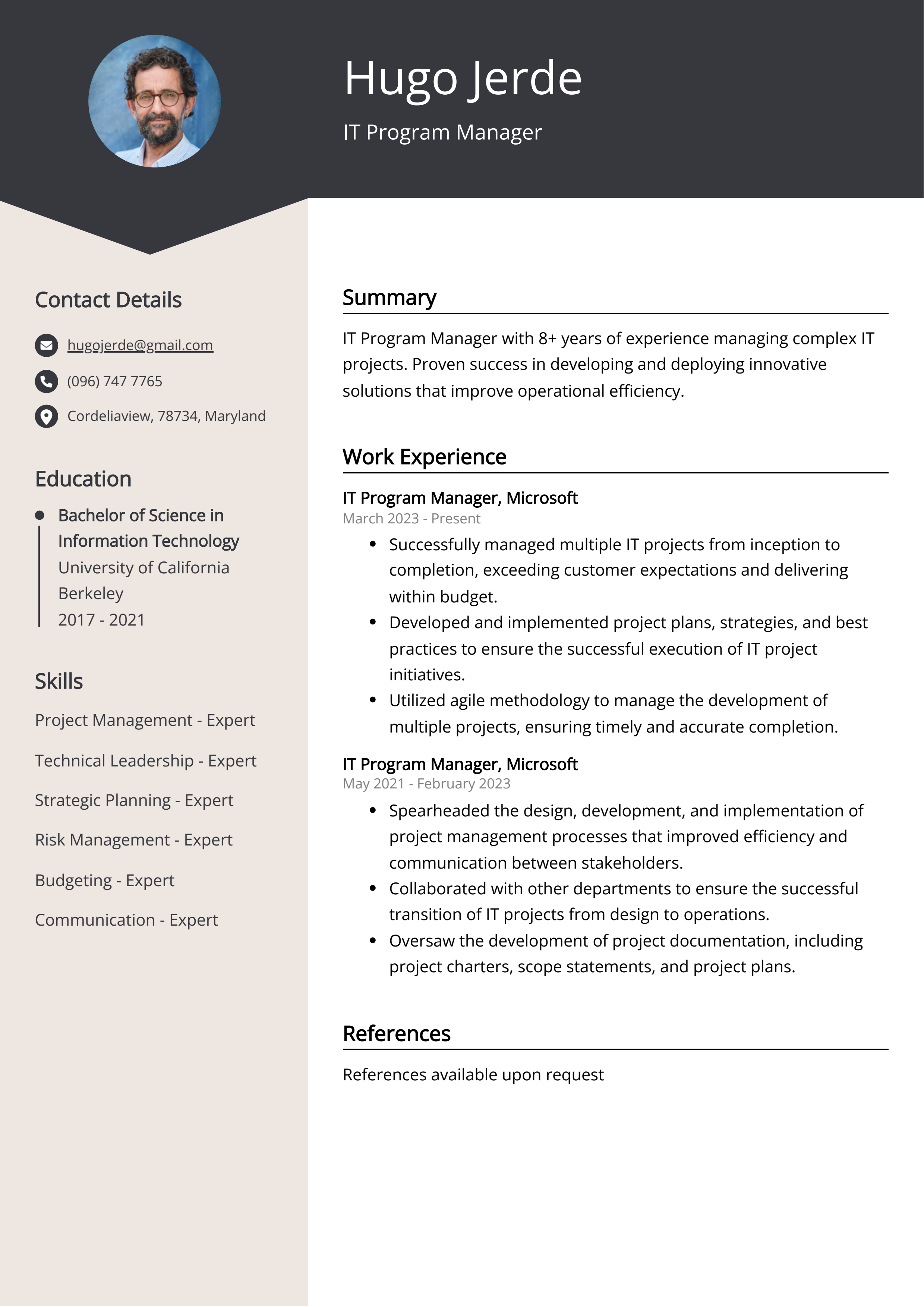 IT Program Manager Resume: Sample & Guide [Entry Level + Senior Jobs]