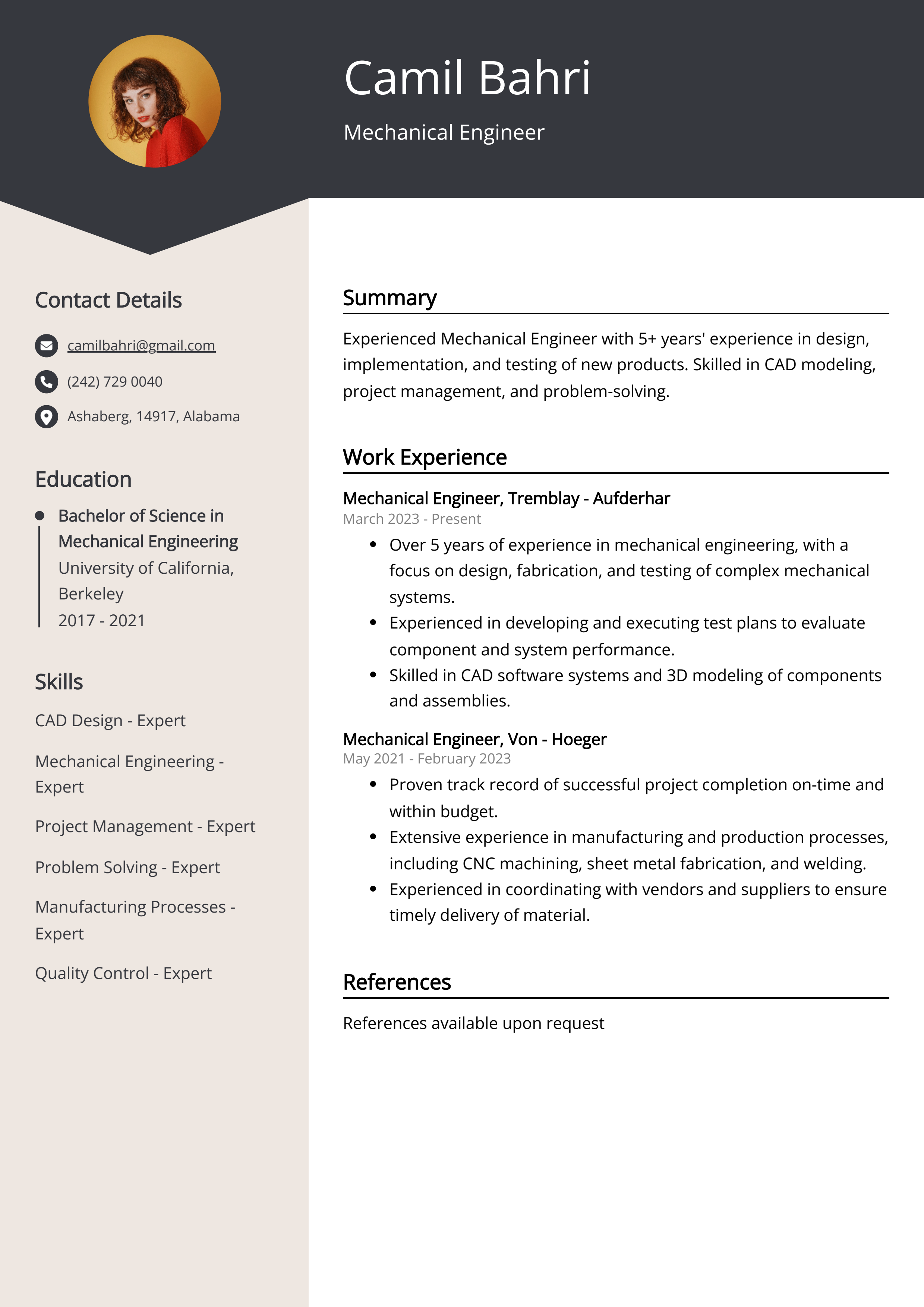 Latest Cv Format For Engineers