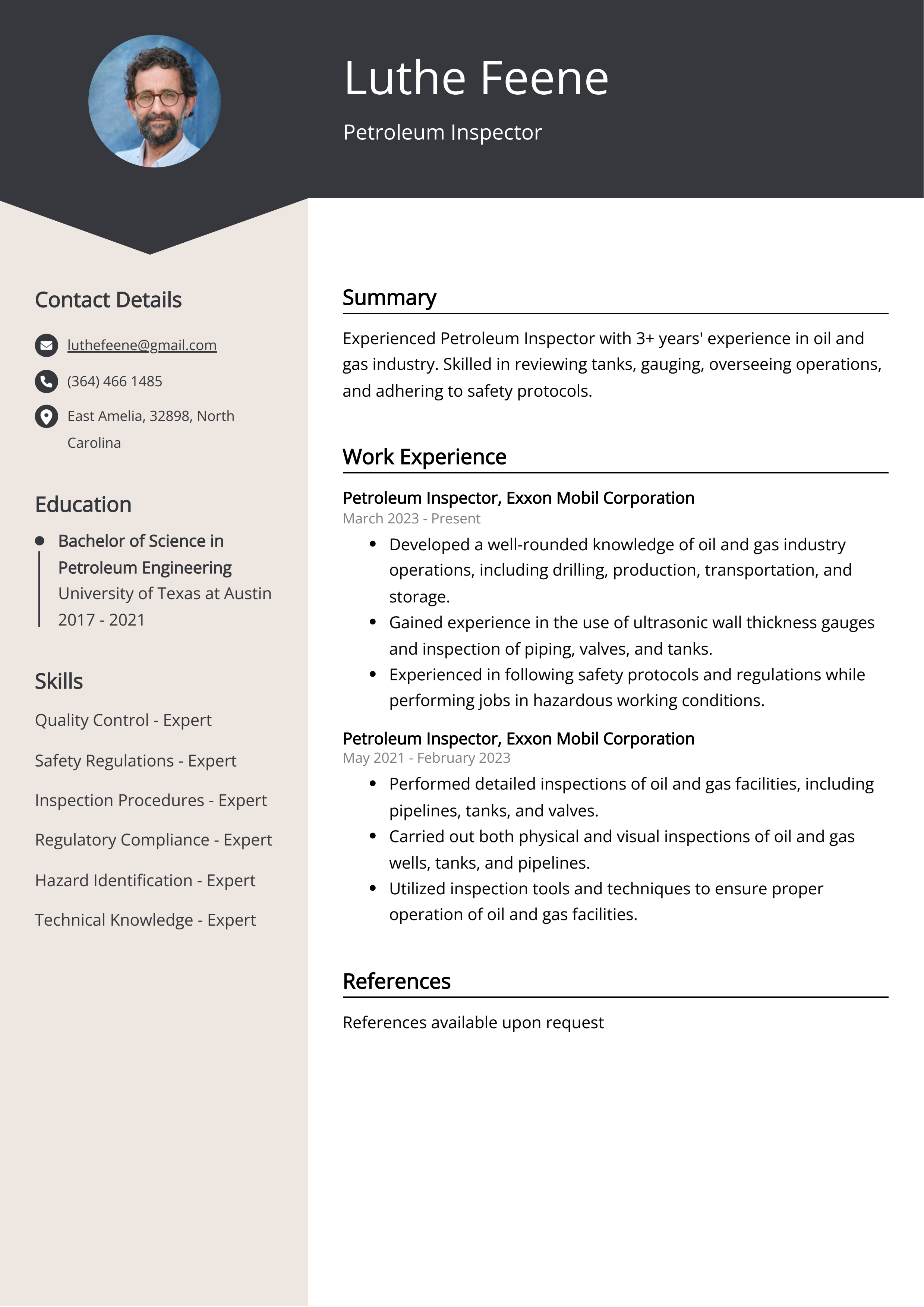 Petroleum Inspector Resume Examples (Template & 20+ Tips)