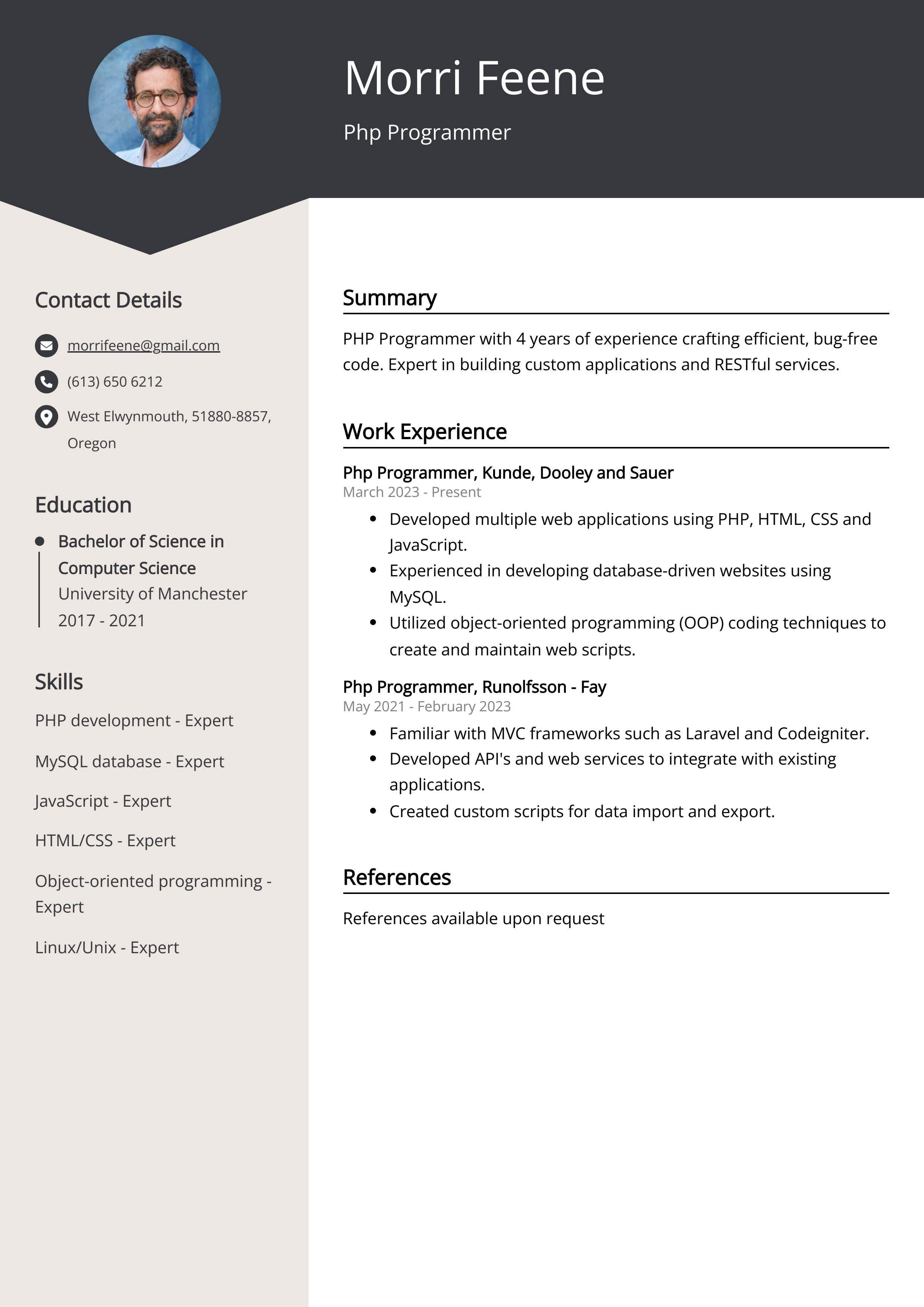 Php Programmer CV Examples (Template & 20+ Tips)