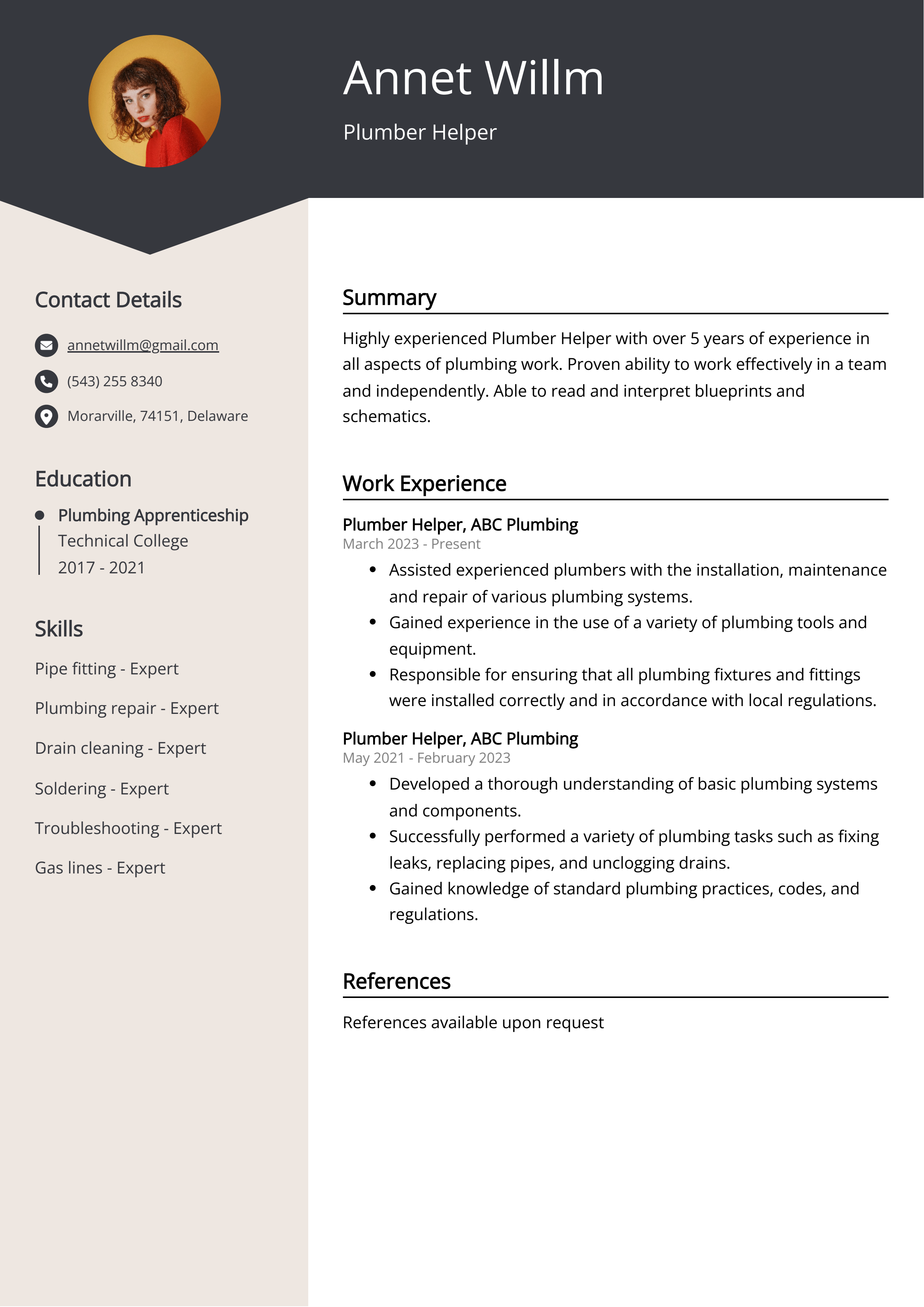 Plumber Helper Resume Examples (Template & 20+ Tips)