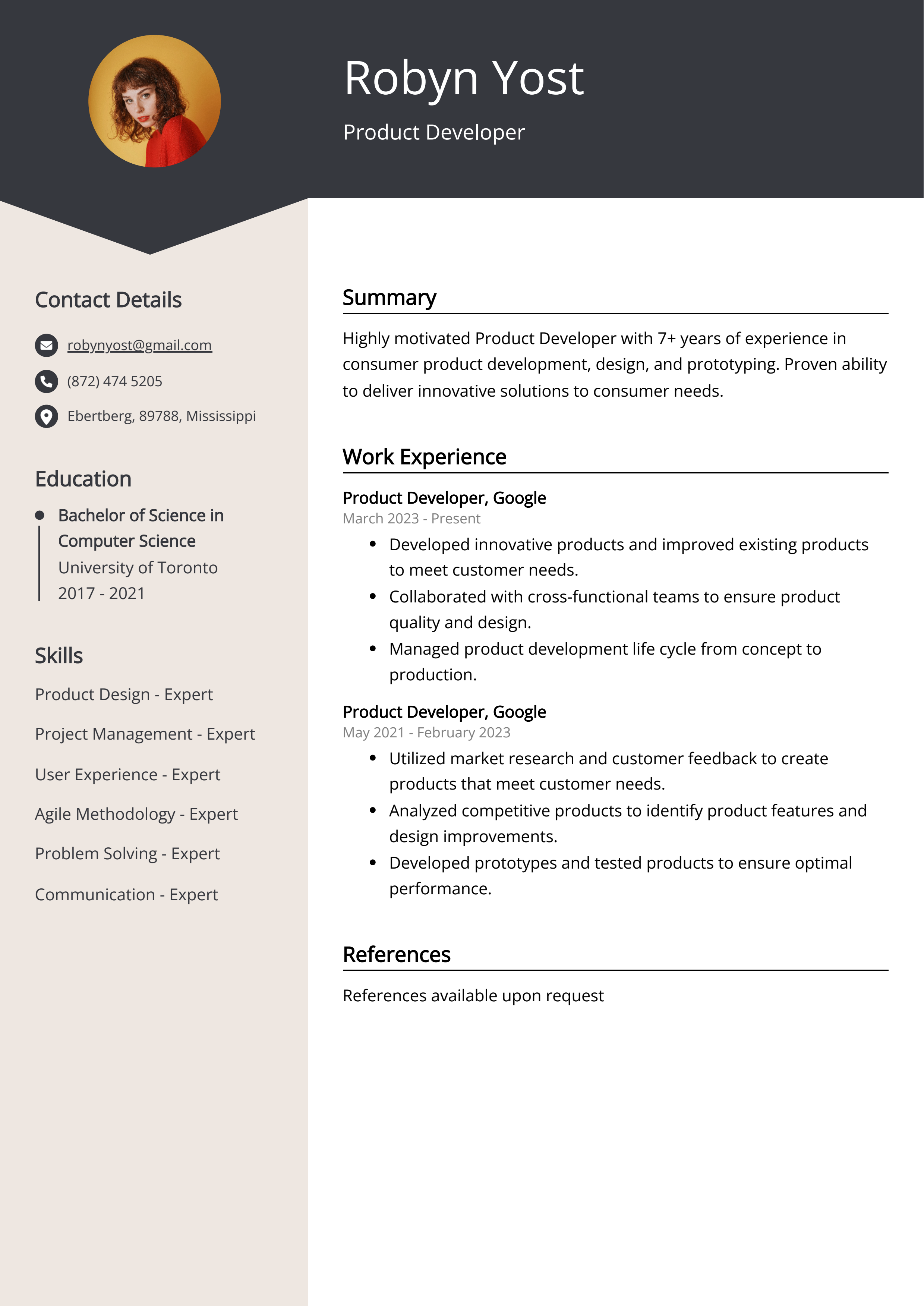 Product Developer Resume Examples (Template & 20+ Tips)