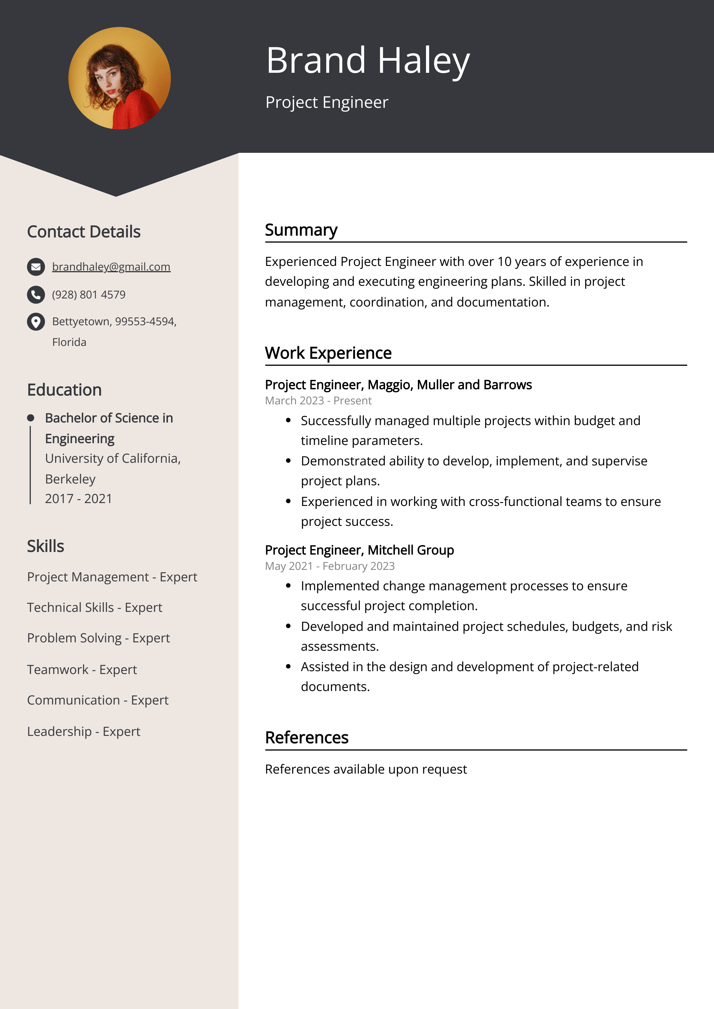 Project Engineer CV Examples (Template & 20+ Tips)