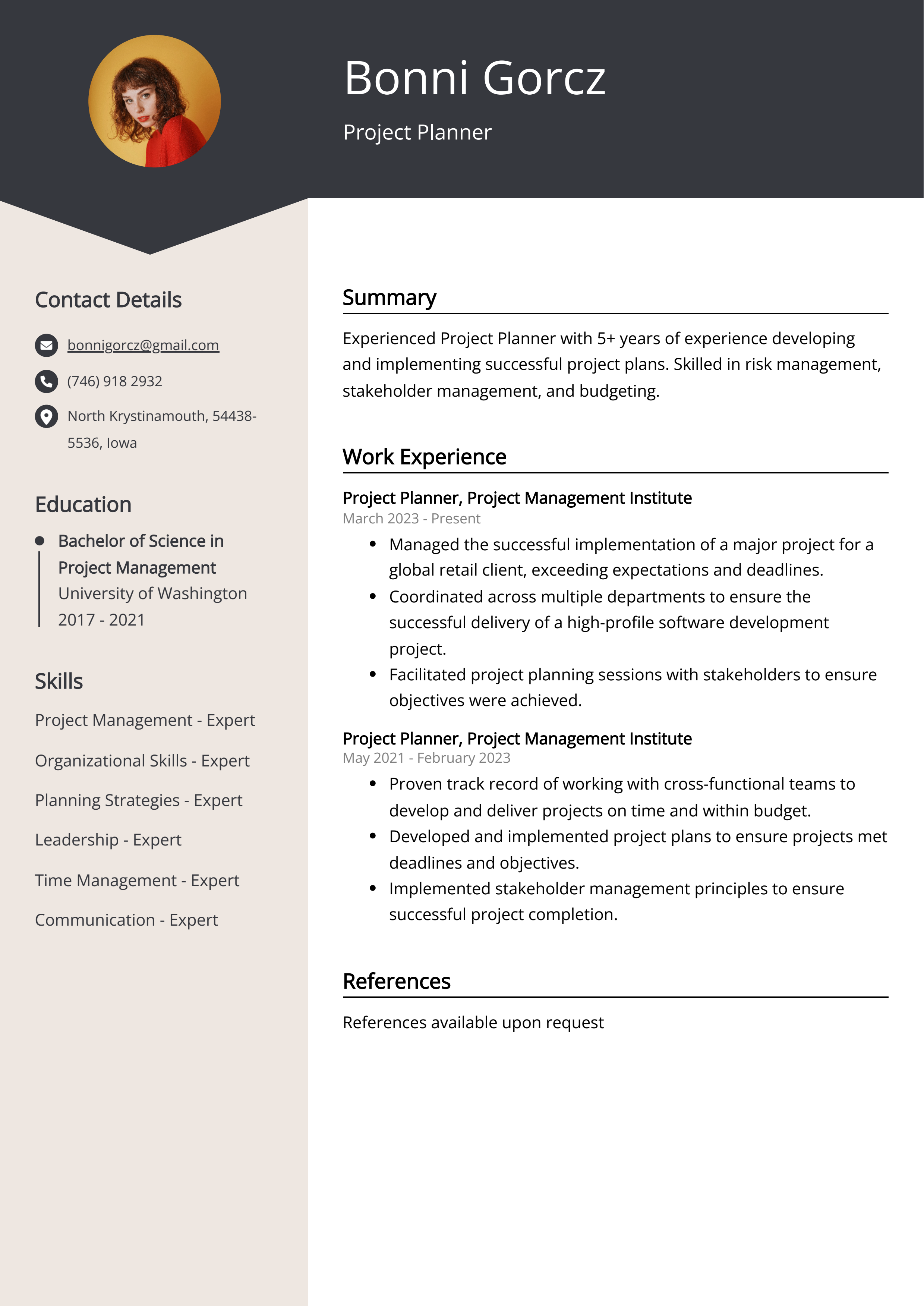 Project Planner Resume Examples (Template & 20+ Tips)