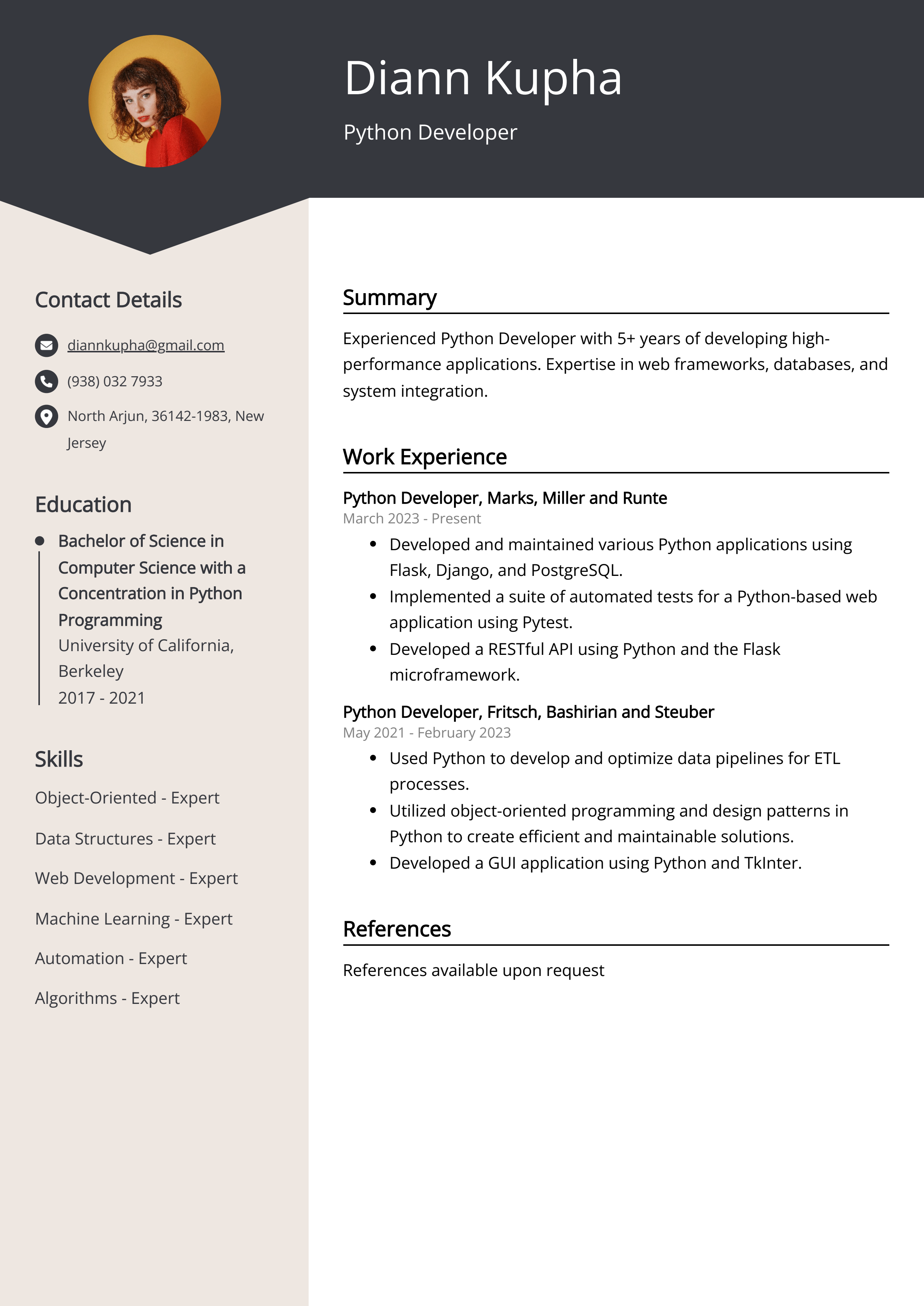 Python Developer CV Examples Template 20 Tips Python Developer CV Examples Template 20 Tips