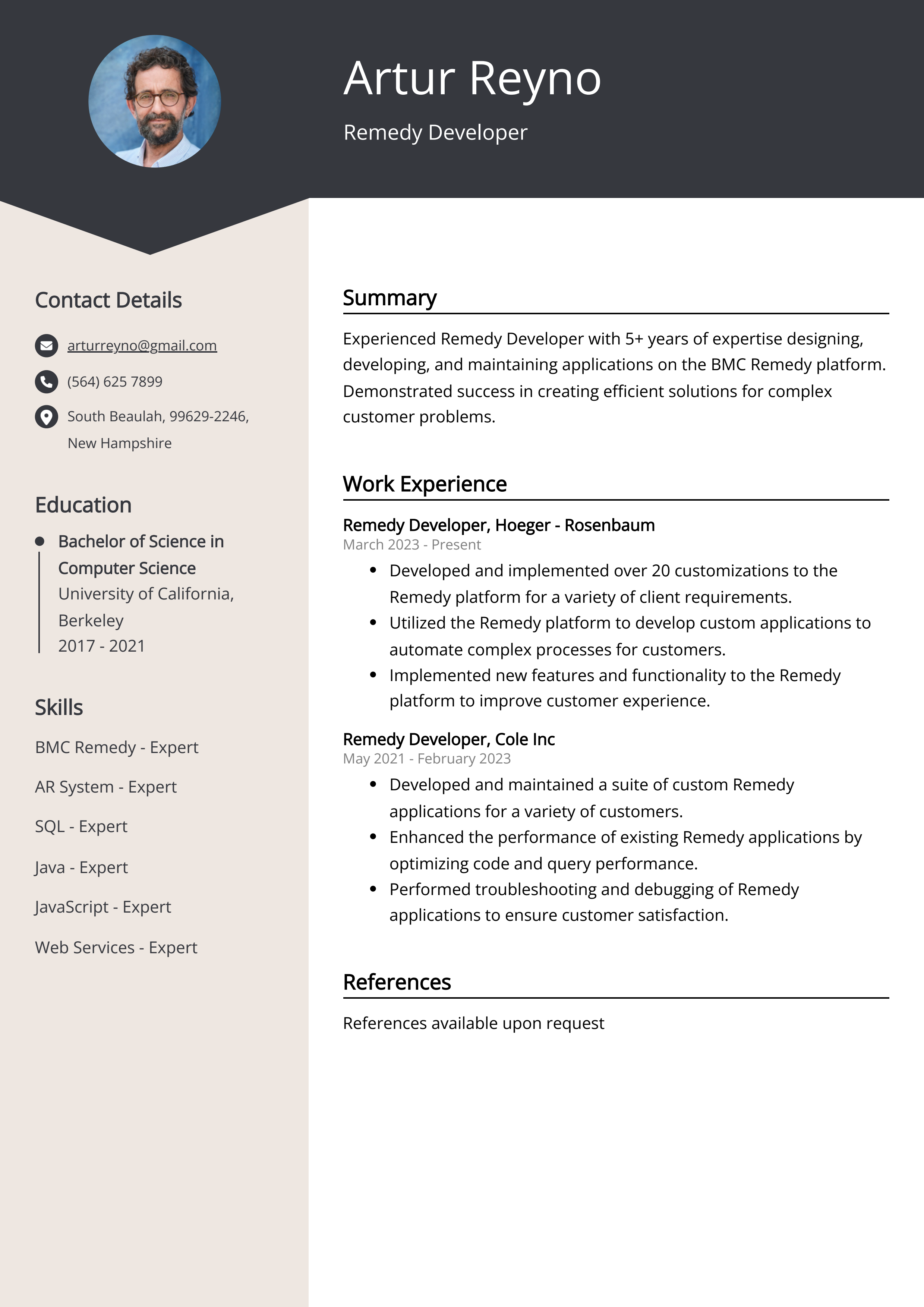 Remedy Developer CV Examples (Template & 20+ Tips)