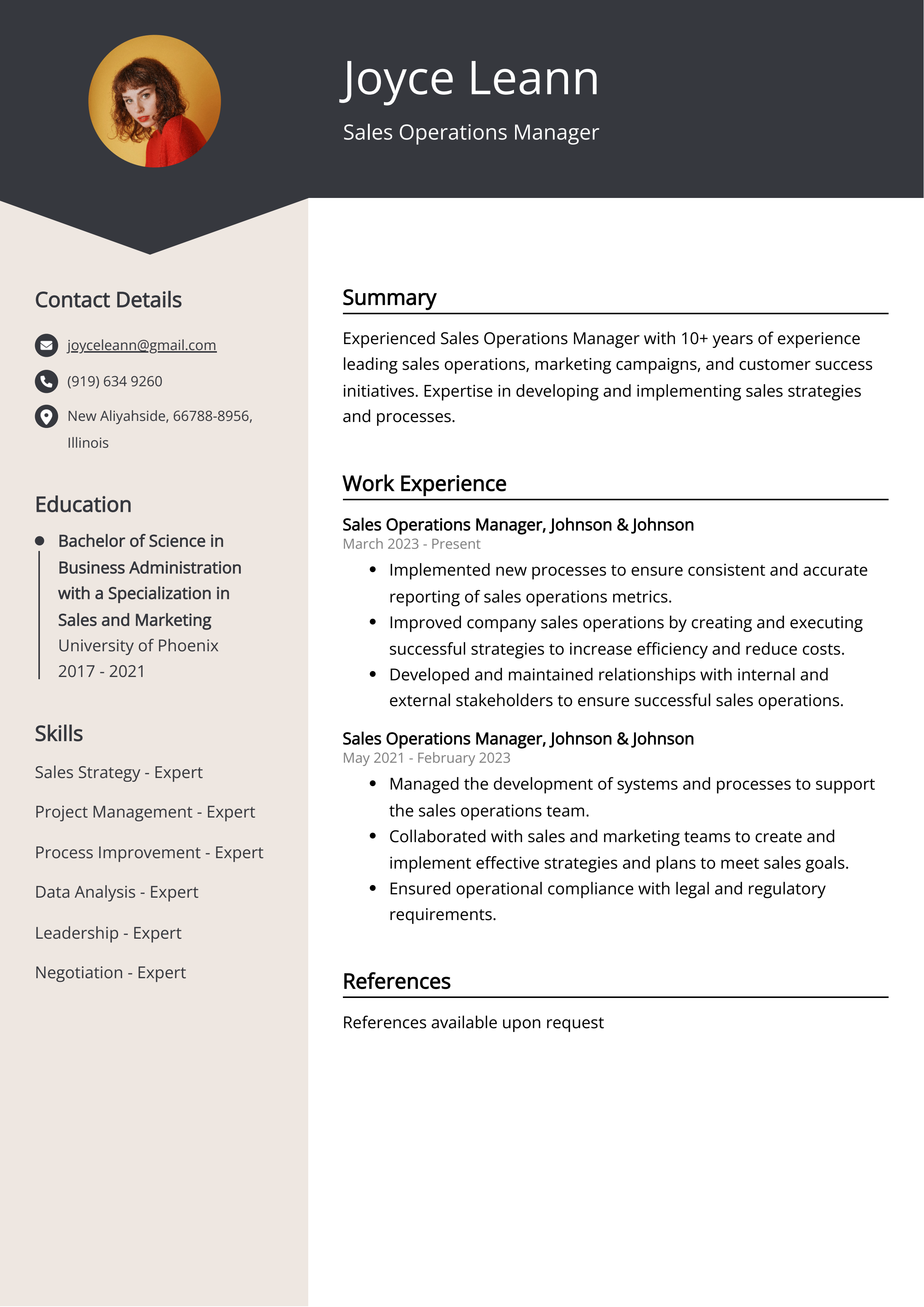 Sales Operations Manager Resume Examples (Template & 20+ Tips)