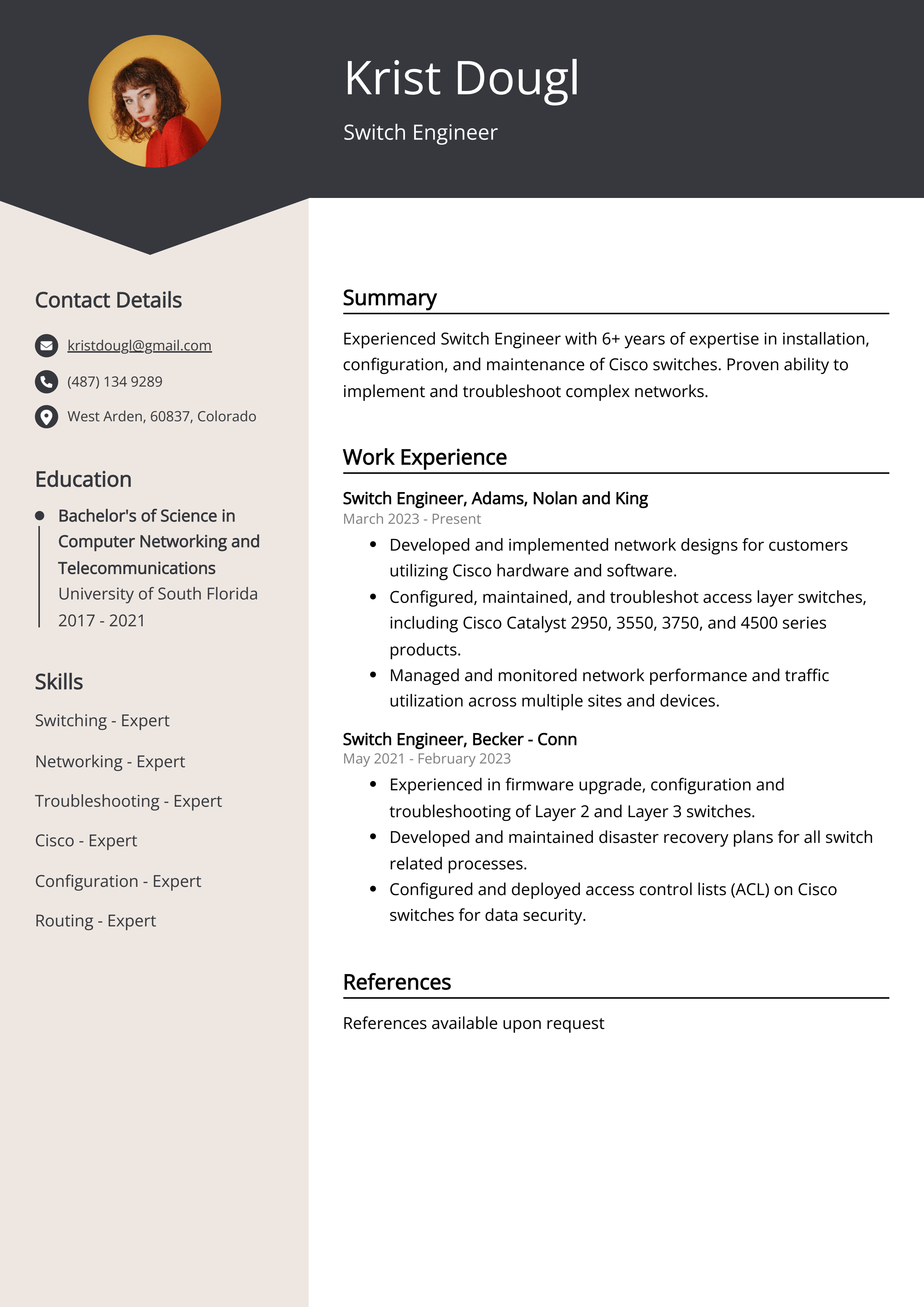 Switch Engineer CV Examples (Template & 20+ Tips)