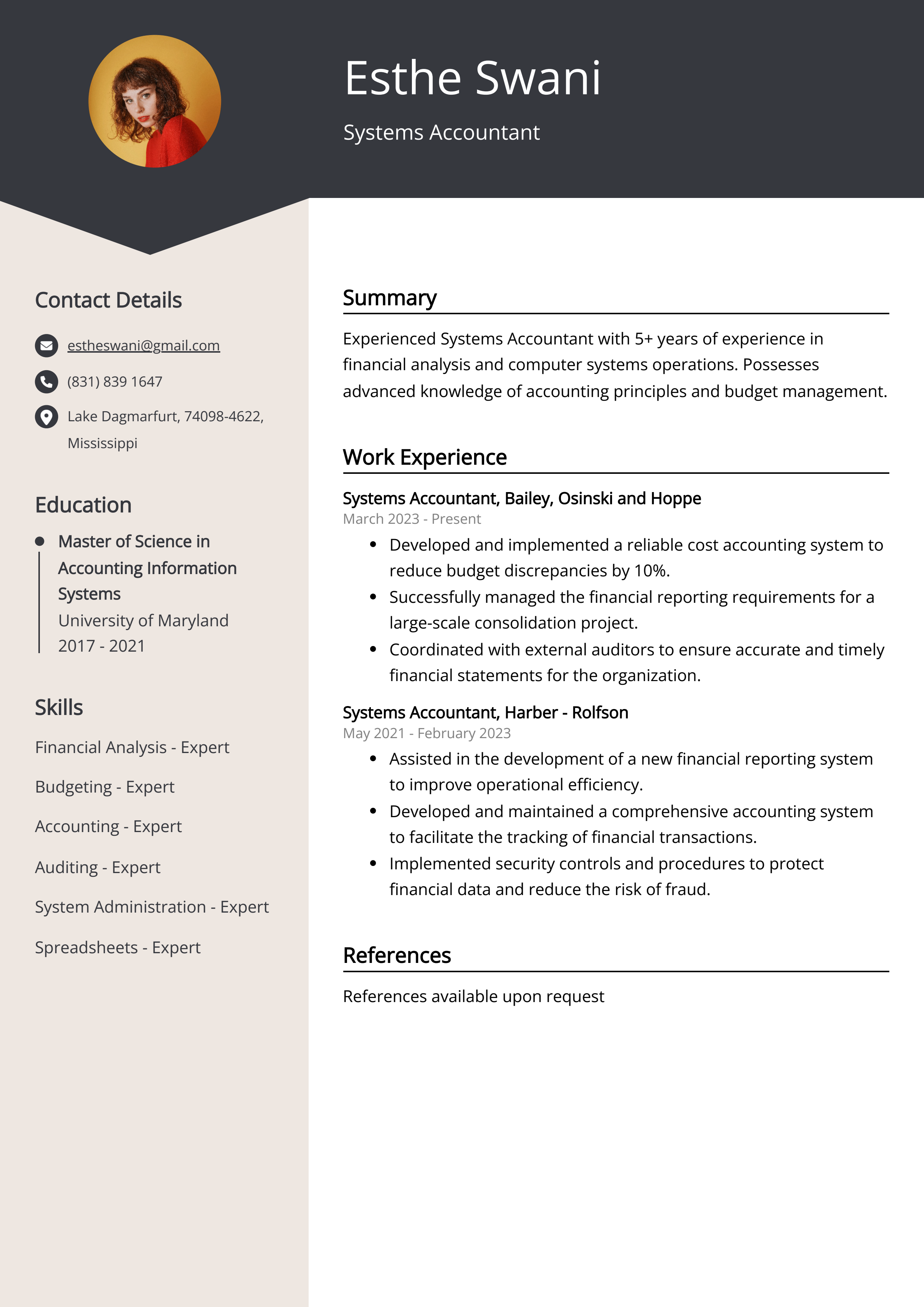 Systems Accountant CV Examples (Template & 20+ Tips)