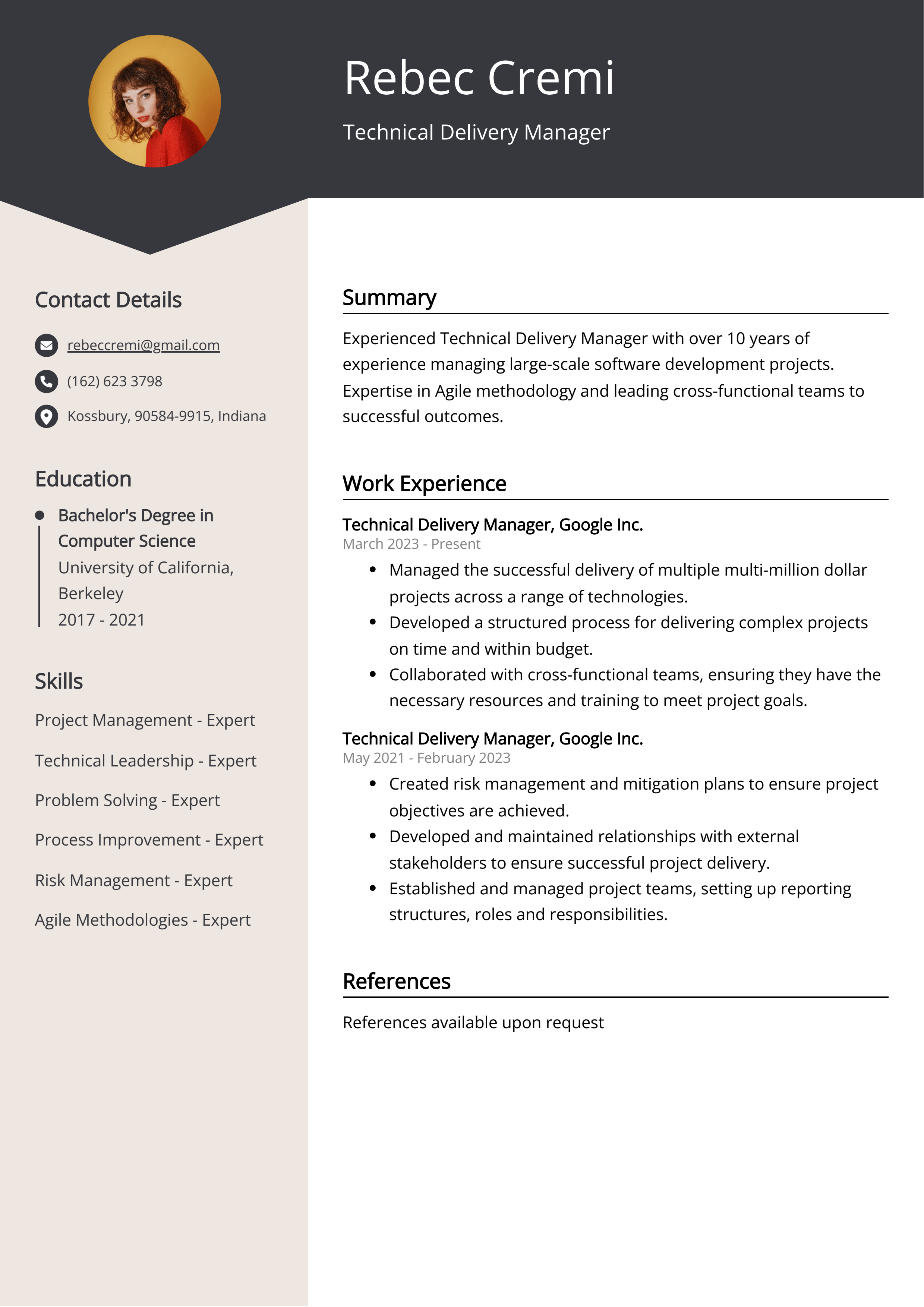 Technical Delivery Manager Resume Examples (Template & 20+ Tips)