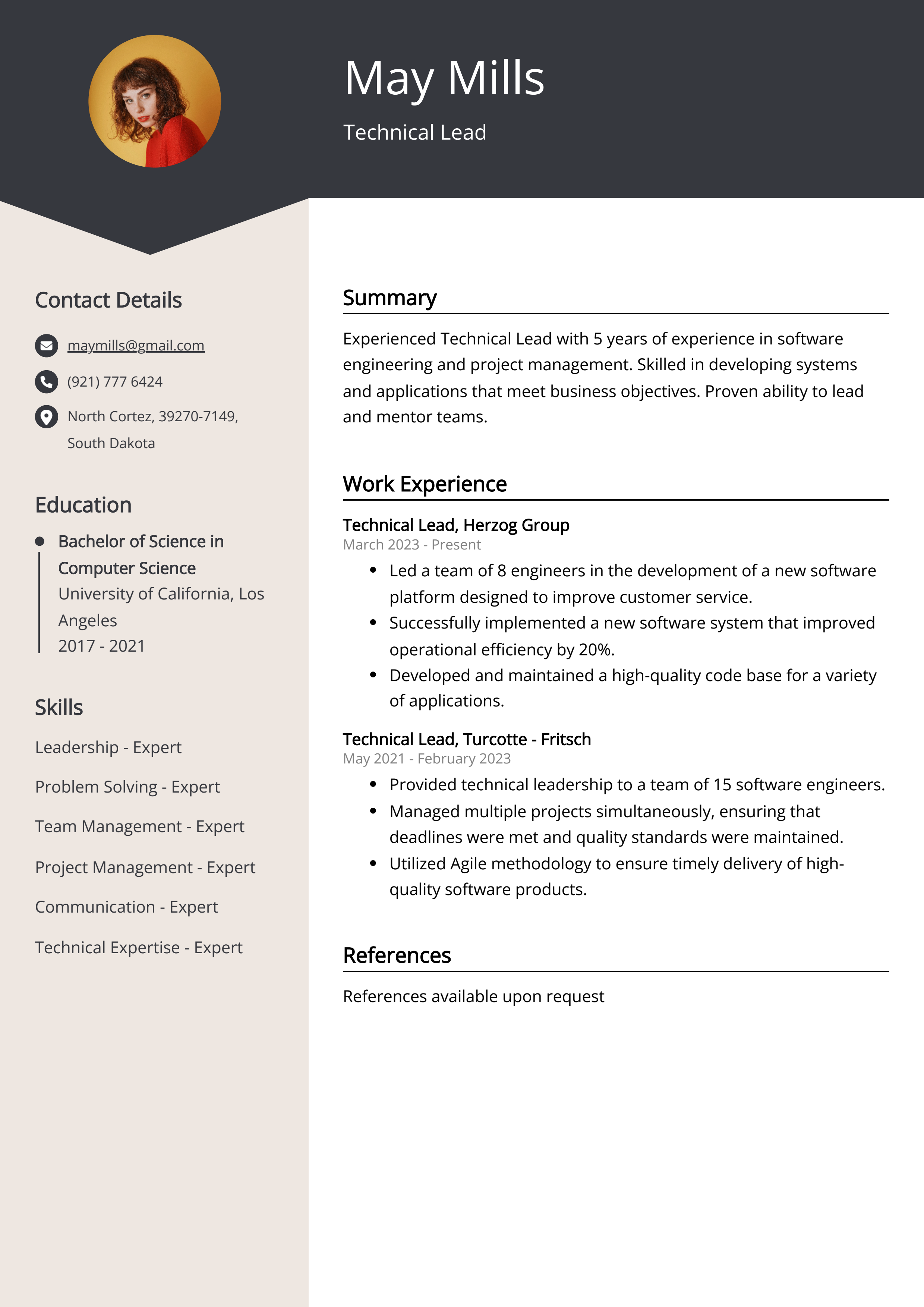 Technical Lead Resume Example Free Guide 