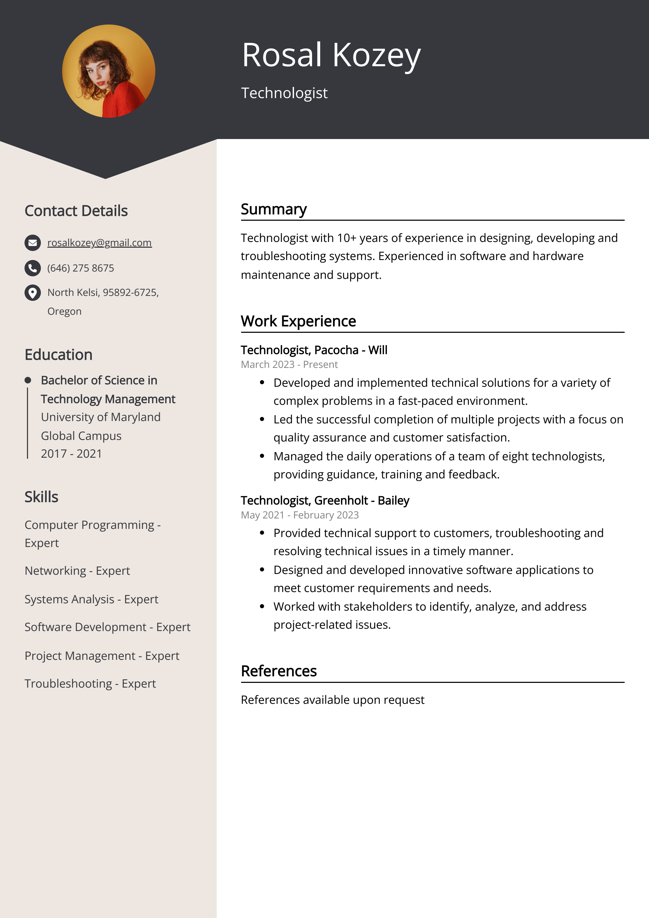 Technologist CV Examples (Template & 20+ Tips)
