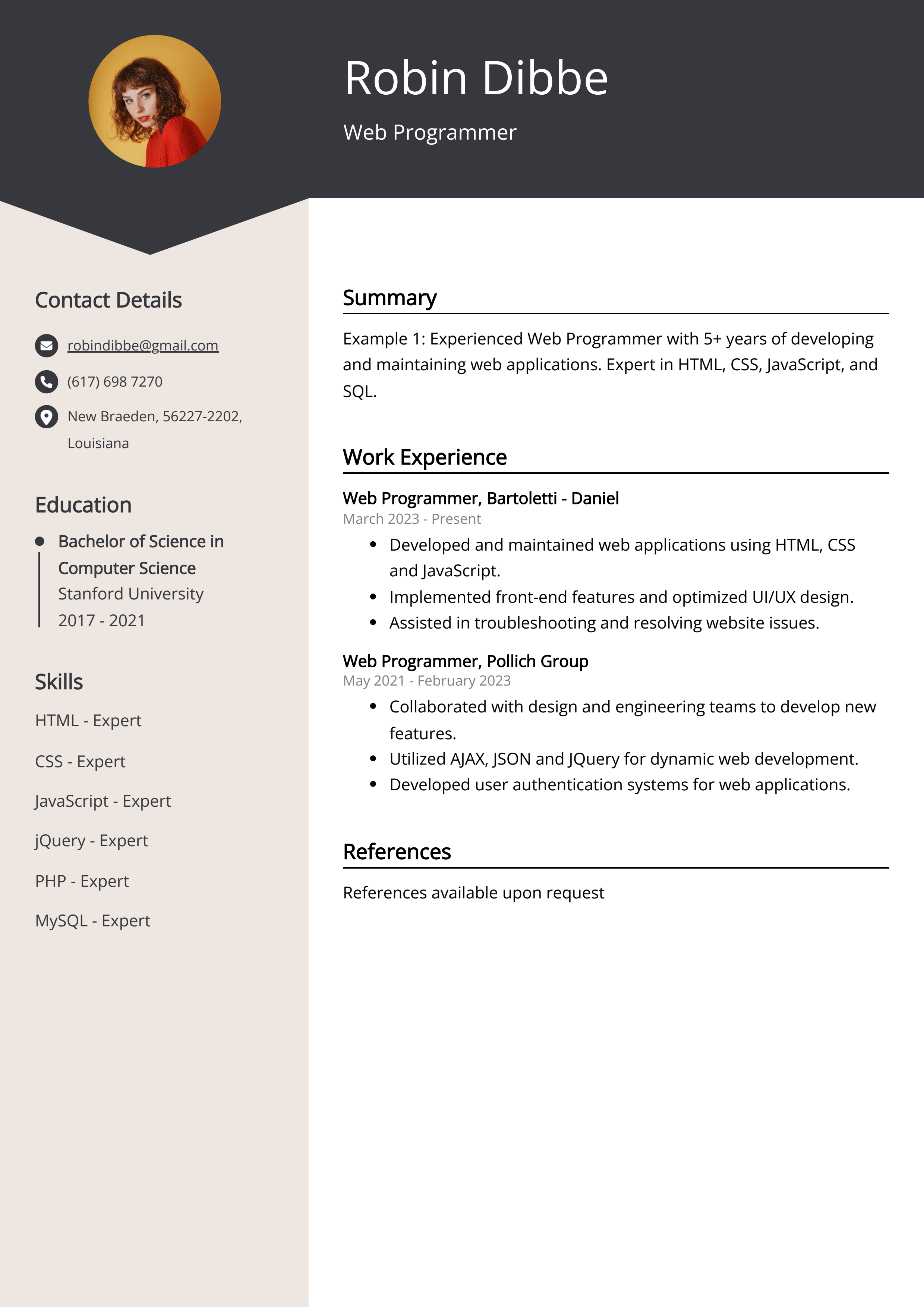 Web Programmer CV Examples & Guide