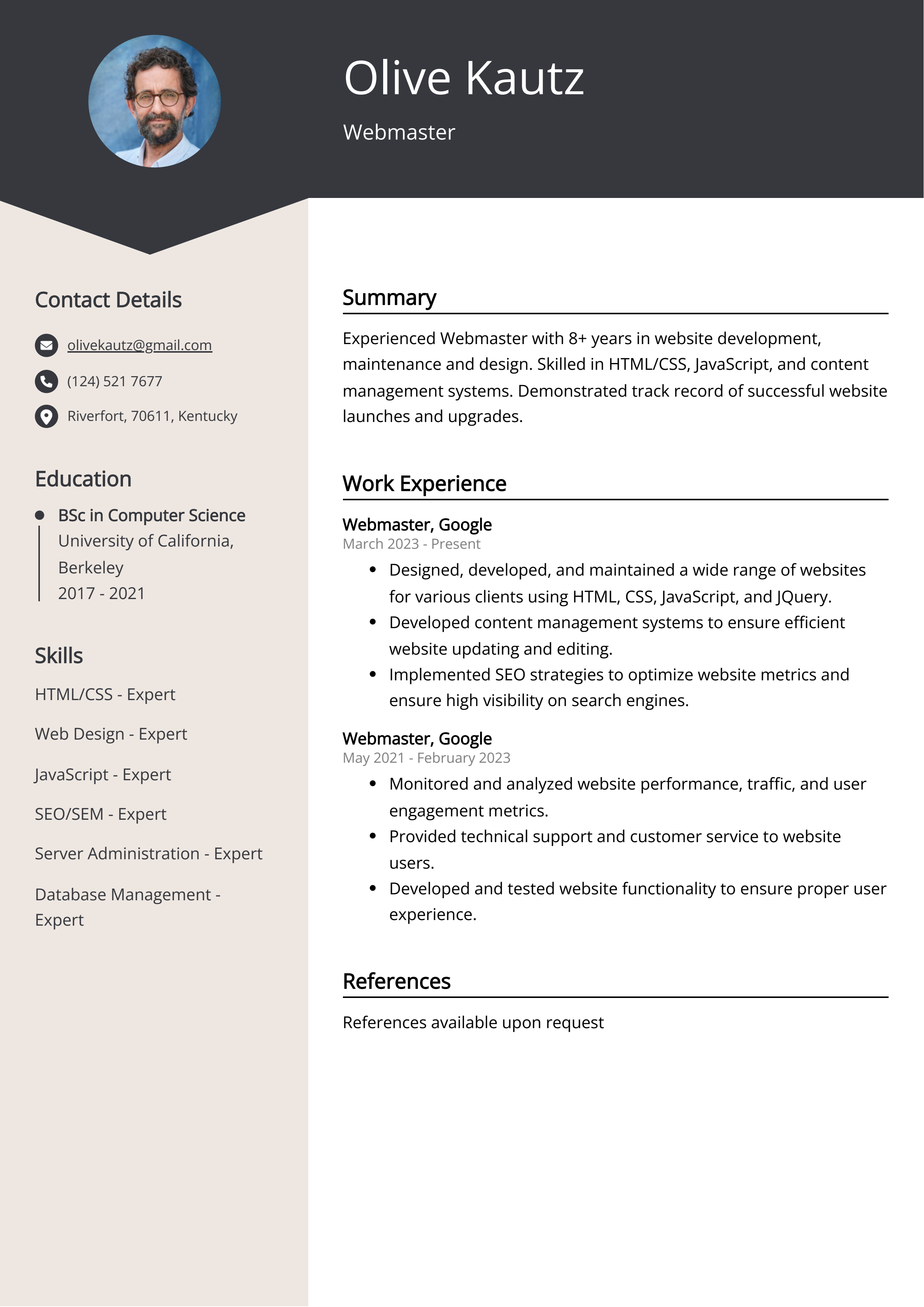Webmaster Resume Examples & Guide