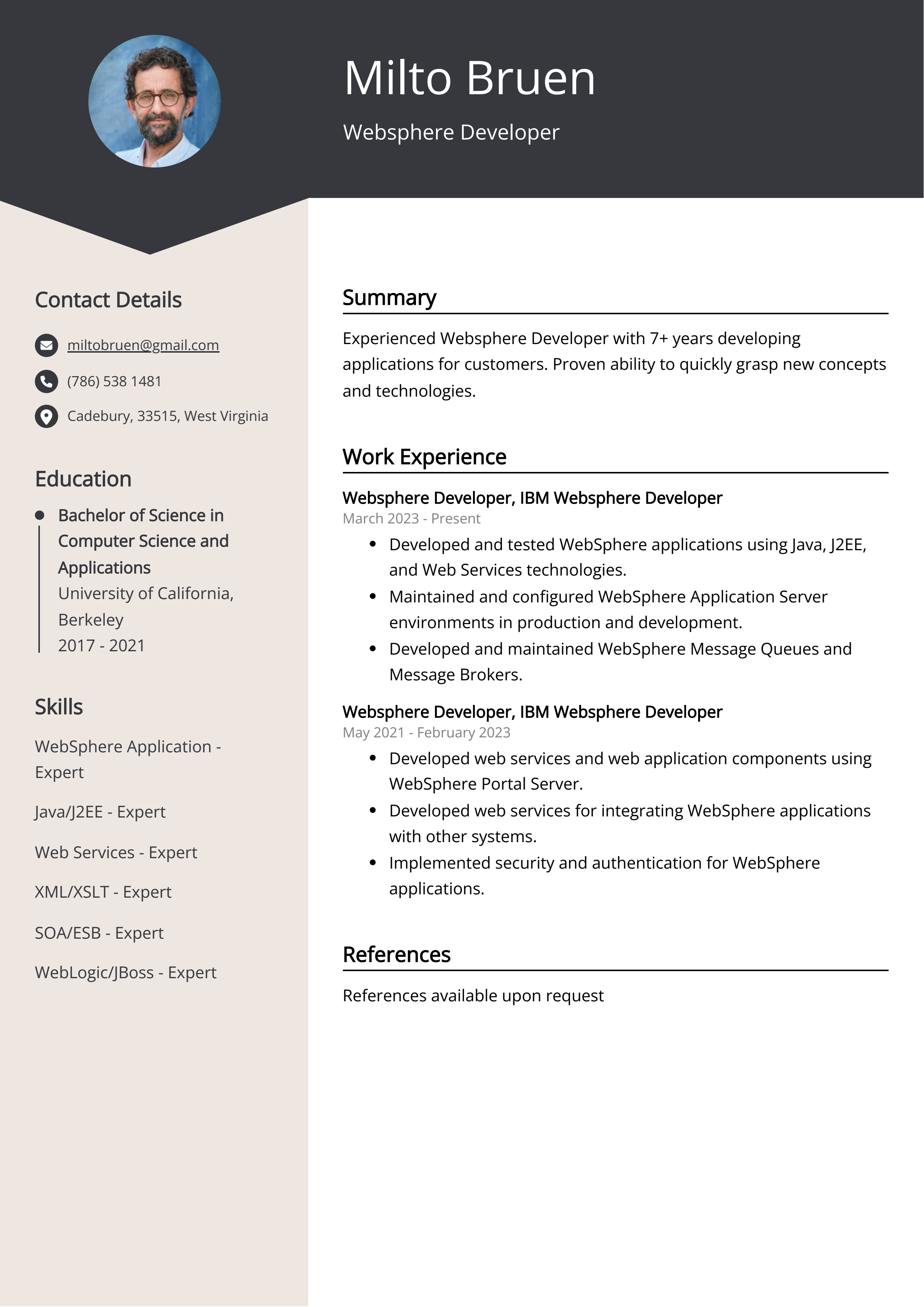 Websphere Developer Resume Examples & Guide