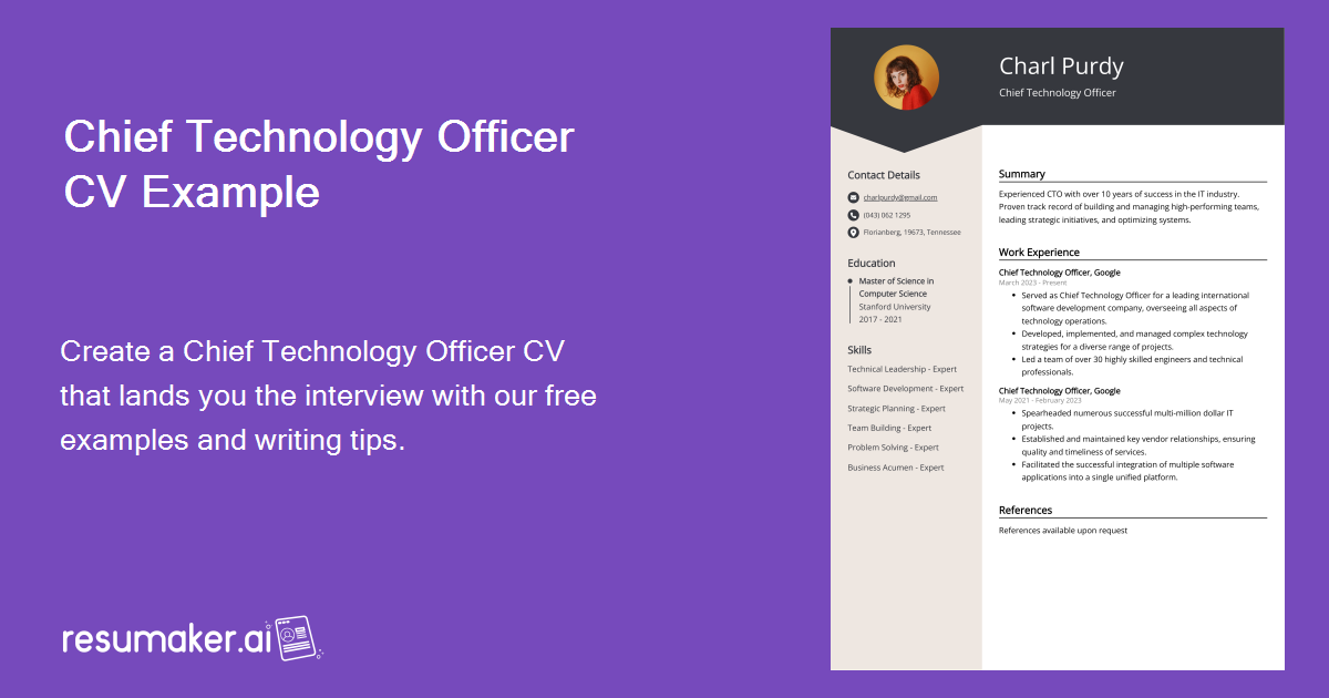Chief Technology Officer CV Example for 2023 (Skills & Templates)