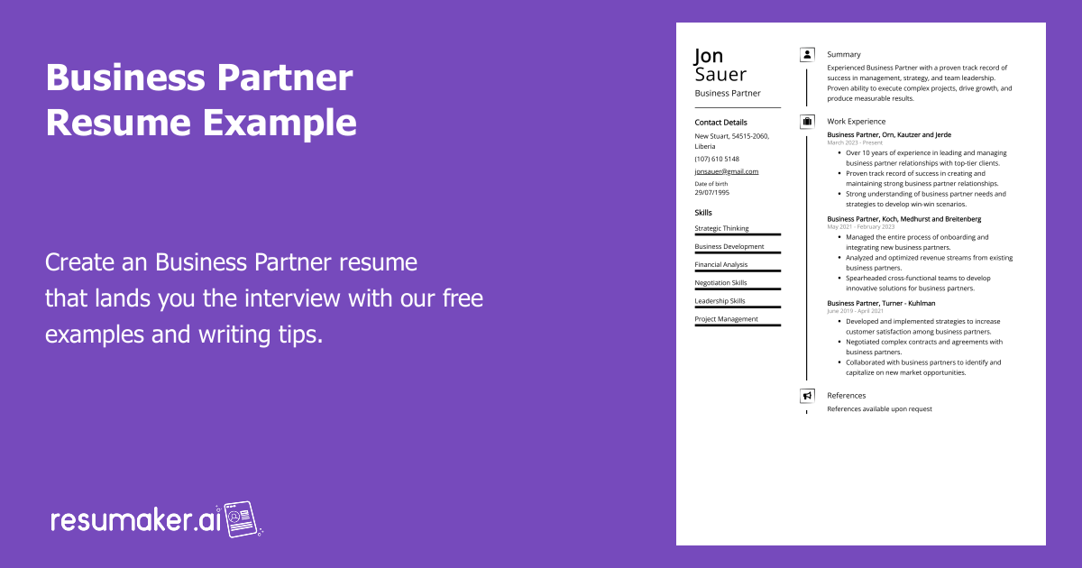 Business Partner Resume Example (Free Guide)