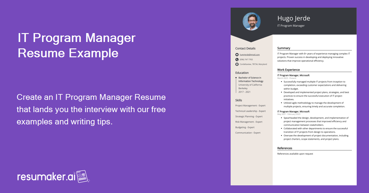 IT Program Manager Resume: Sample & Guide [Entry Level + Senior Jobs]