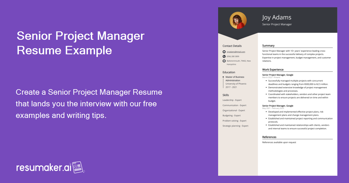 Senior Project Manager Resume Examples (Template & 20+ Tips)